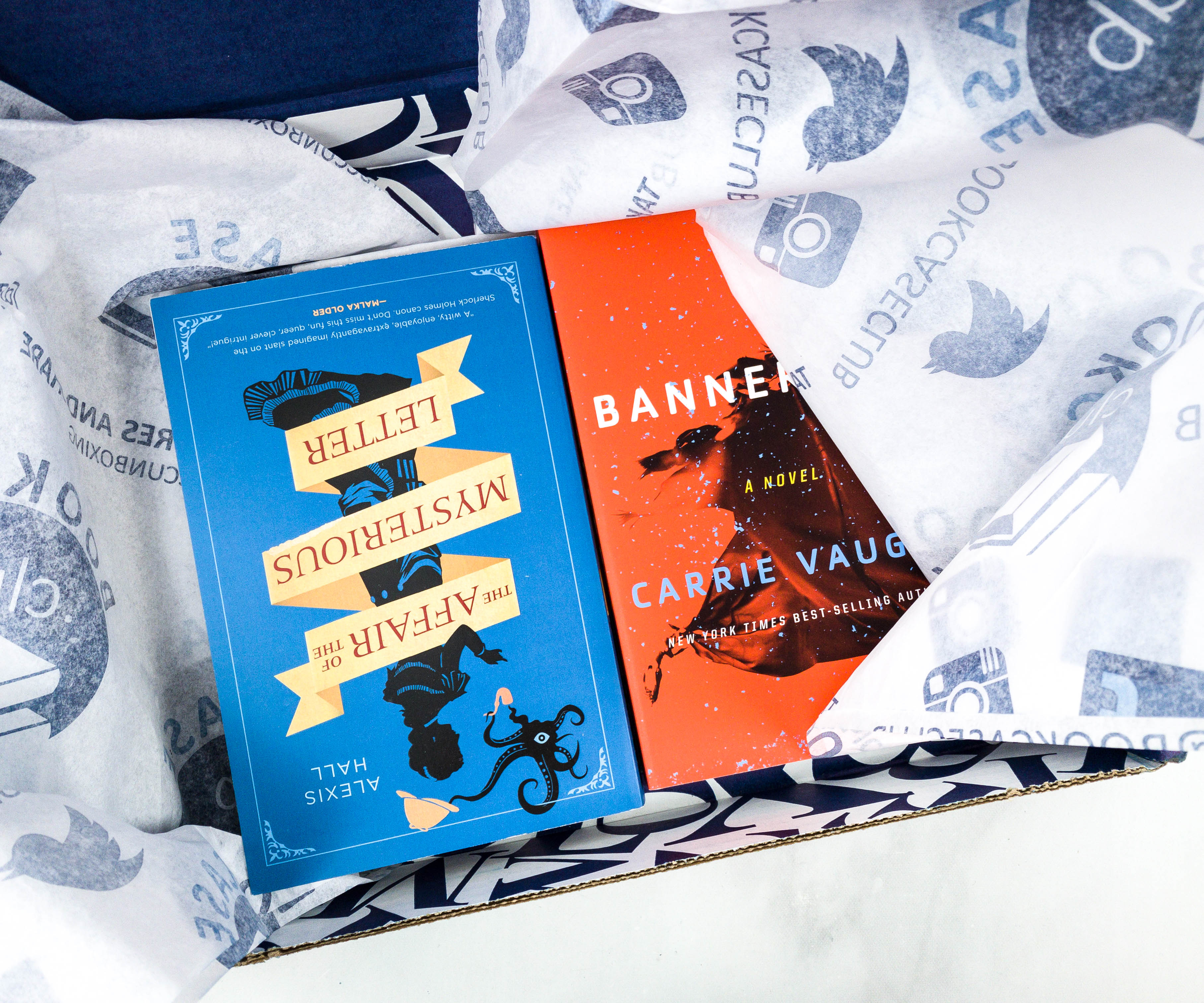 BookCase Club November 2020 Subscription Box Review & Coupon - STRANGE ...