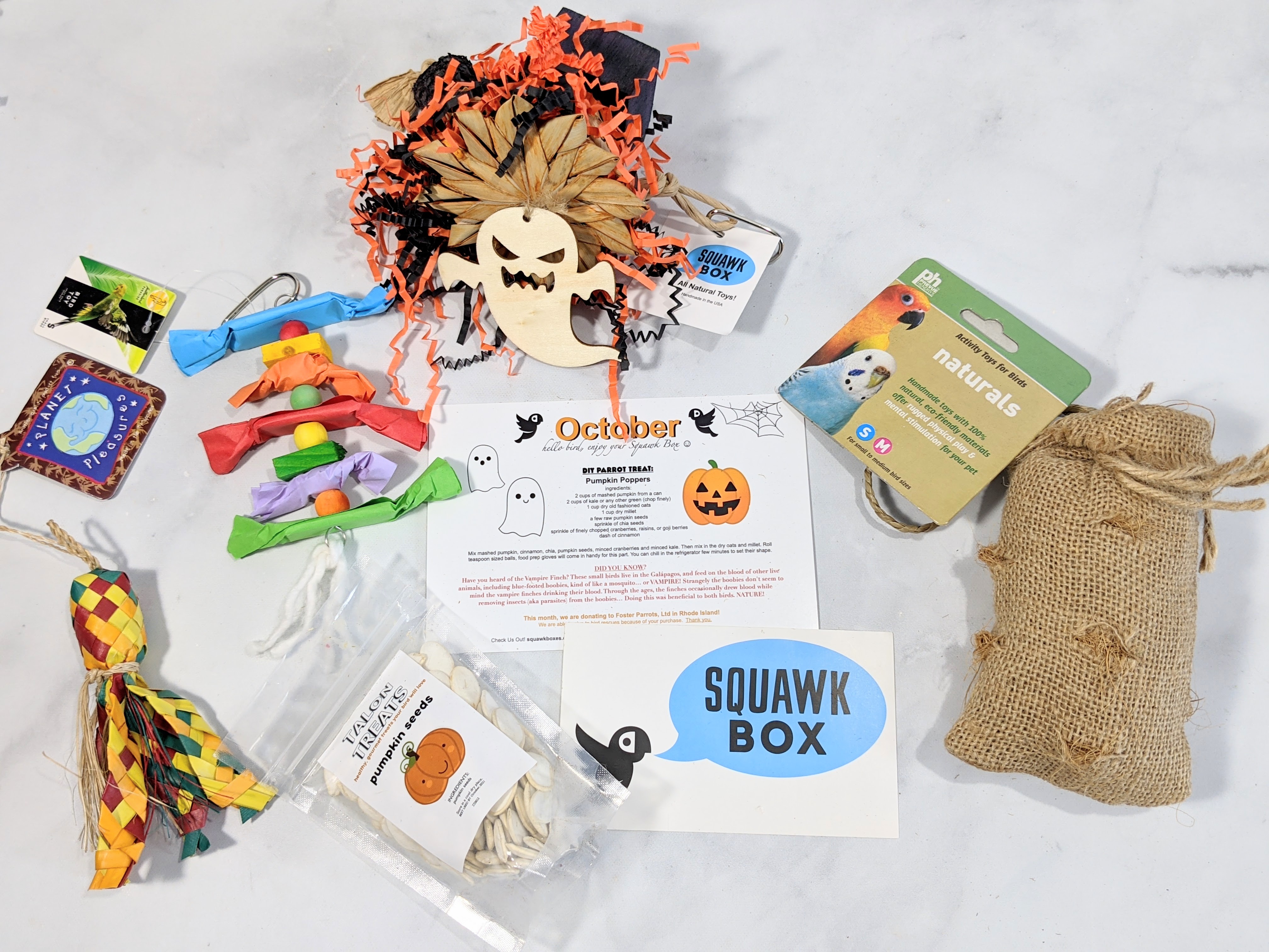 Squawk Box October 2020 Subscription Review - Hello Subscription