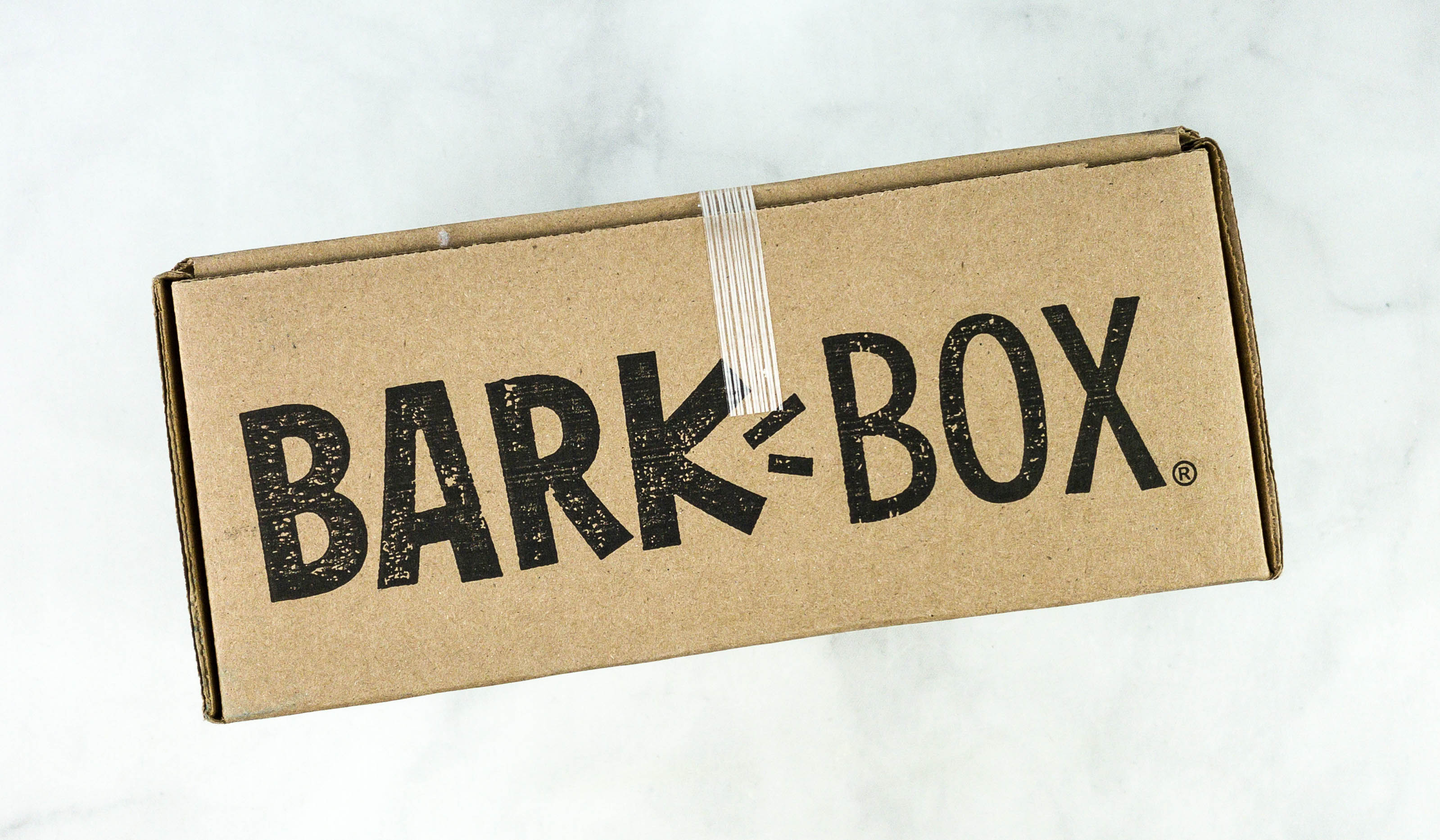 Barkbox Review + Coupon - November 2020 - Hello Subscription
