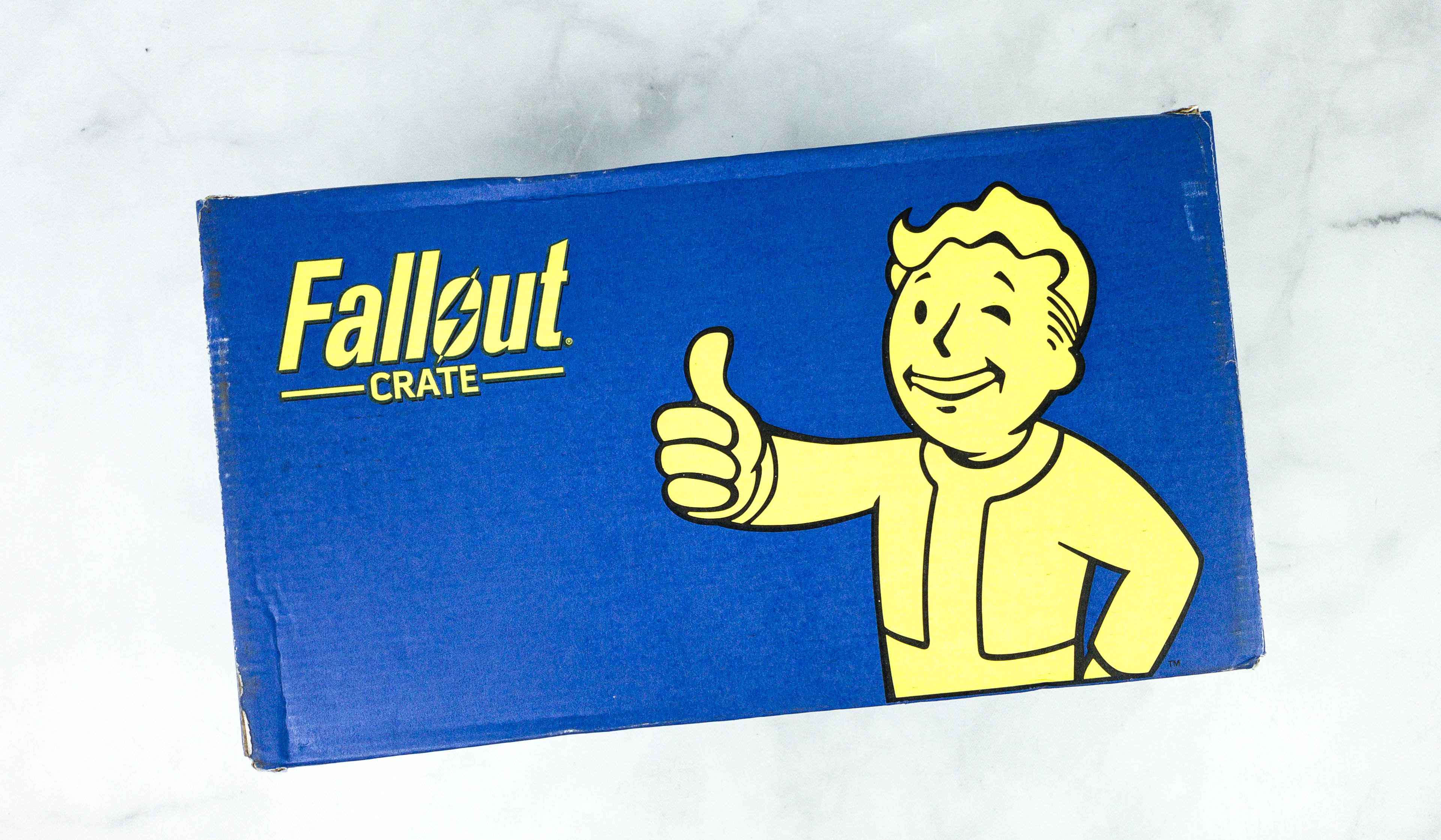 Loot Crate Fallout Crate October 2020 Review + Coupon - Hello Subscription