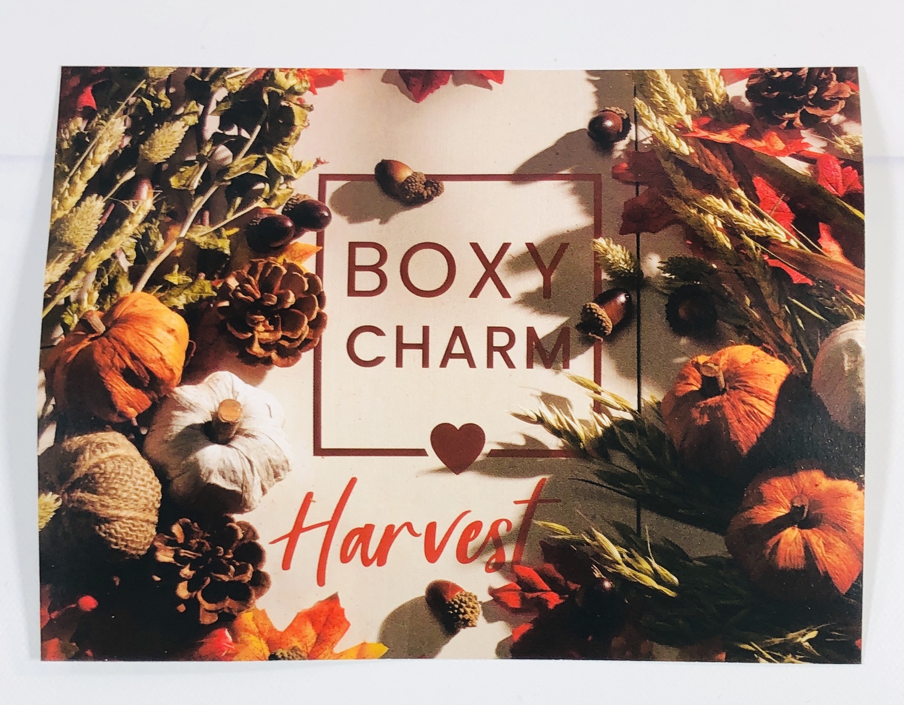 November 2020 BOXYCHARM Review - Hello Subscription