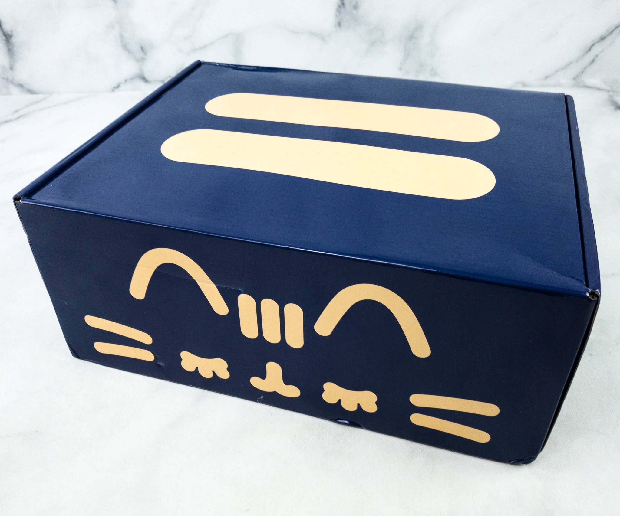 Pusheen Box Review - Fall 2020 - Hello Subscription