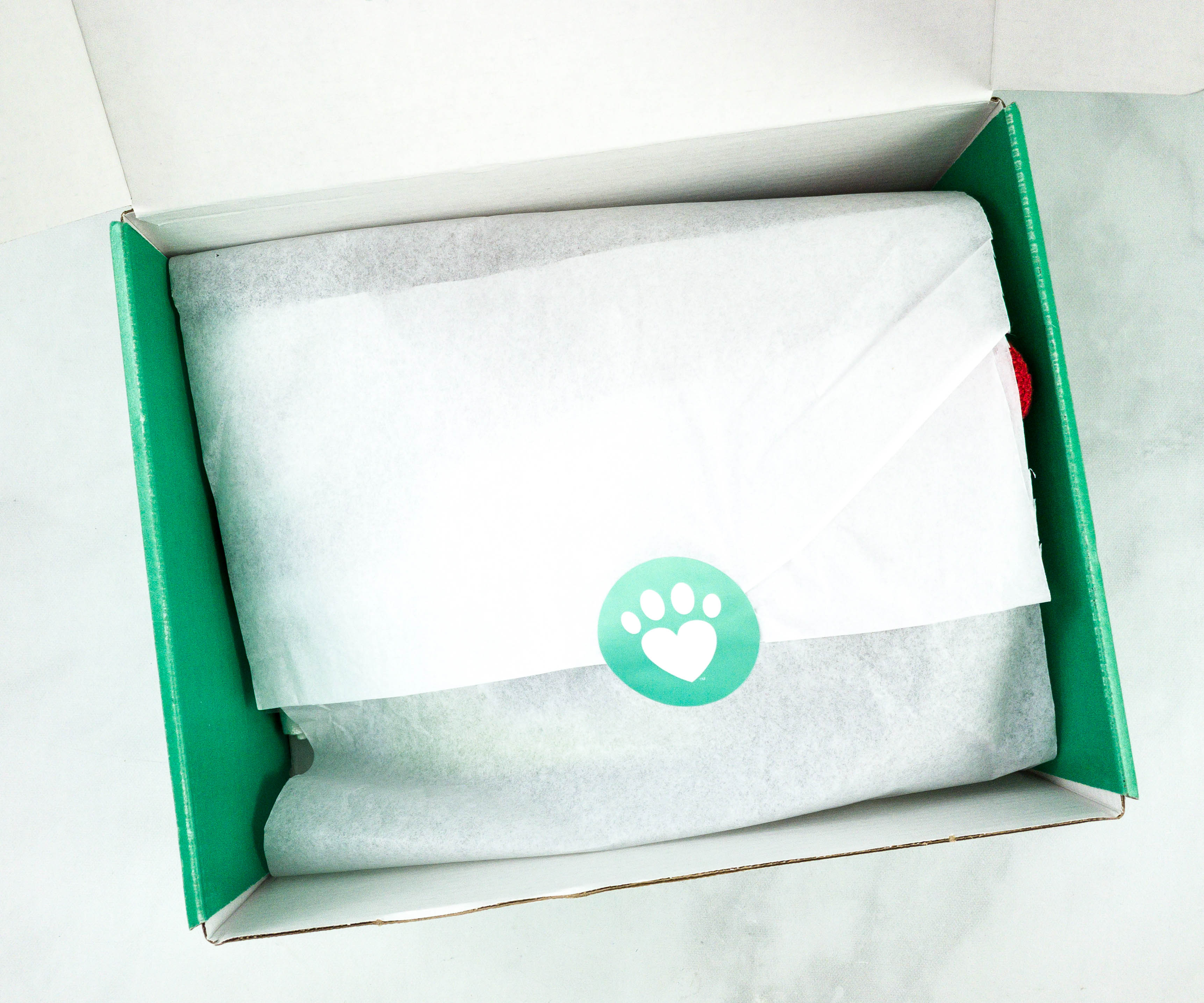 Willie & Roo November 2020 Subscription Box Review + Coupon - Hello ...