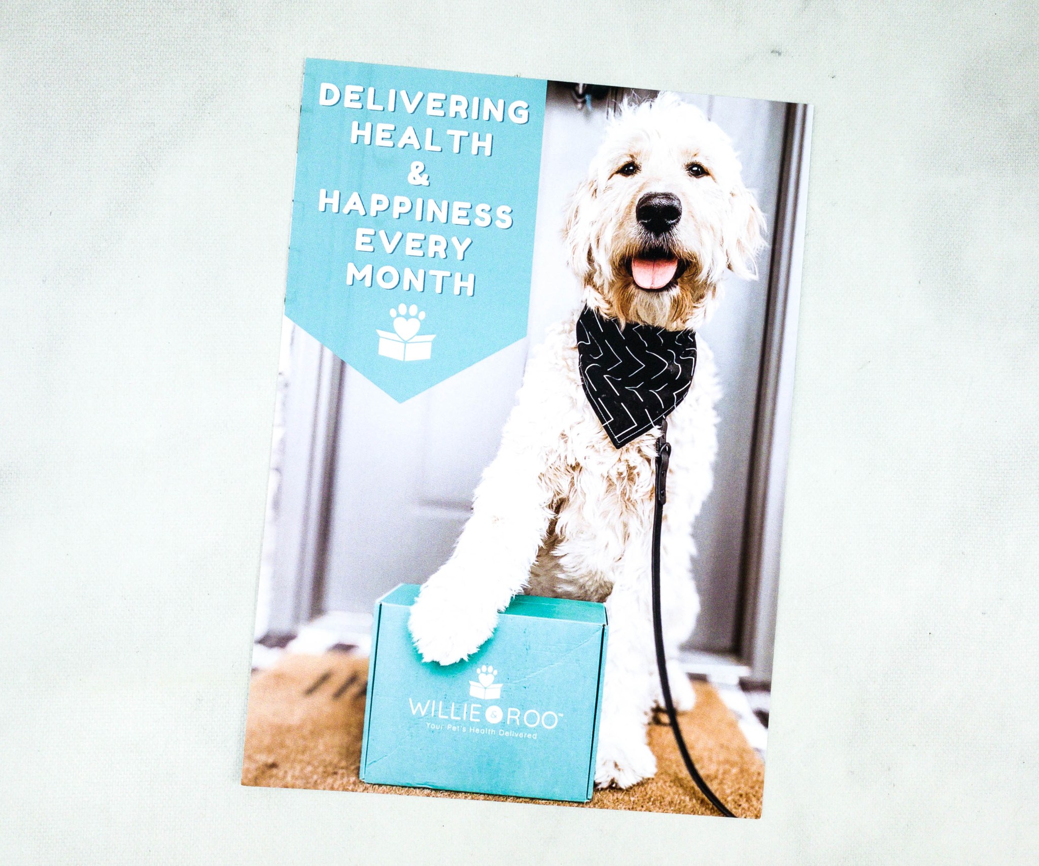 Willie & Roo November 2020 Subscription Box Review + Coupon - Hello ...