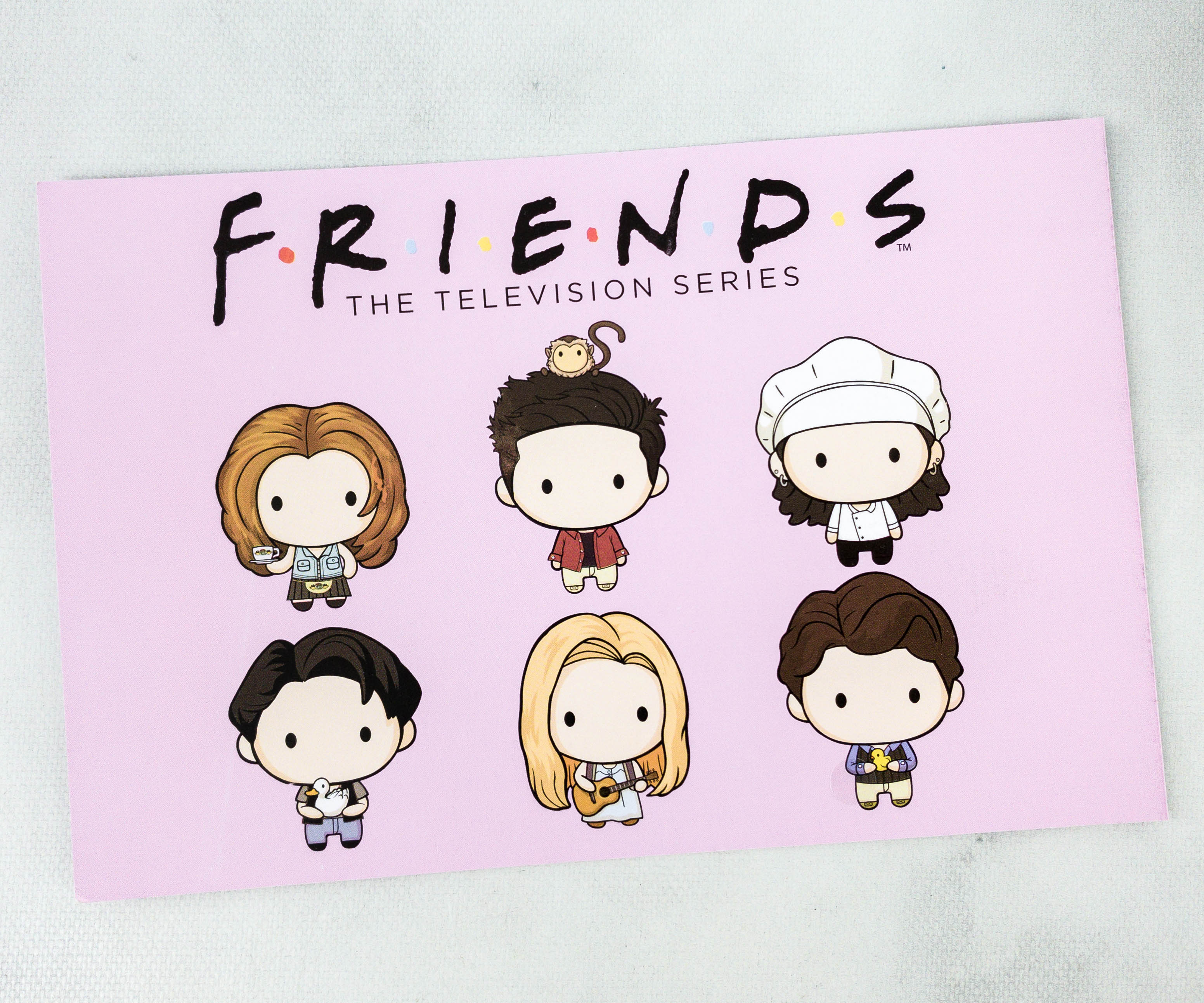 FRIENDS Subscription Box Winter 2020 Review! - Hello Subscription