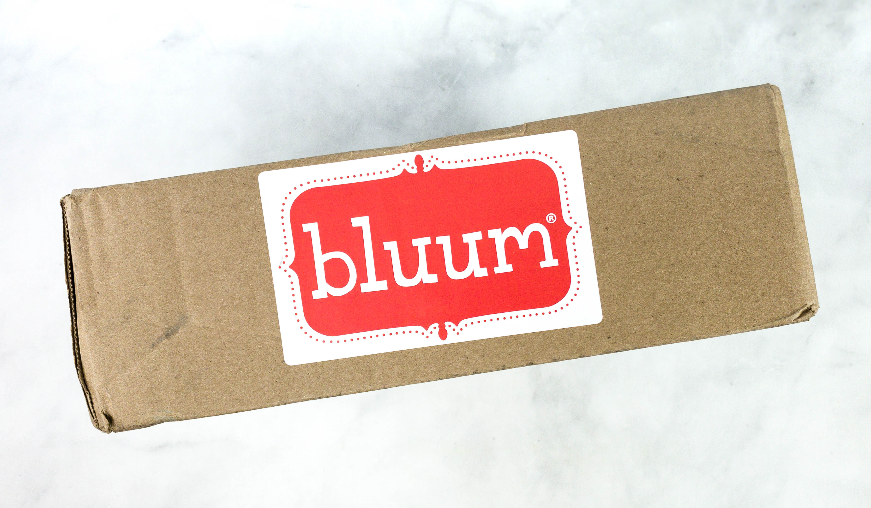 Bluum December 2020 Subscription Box Review + Coupon - Hello Subscription
