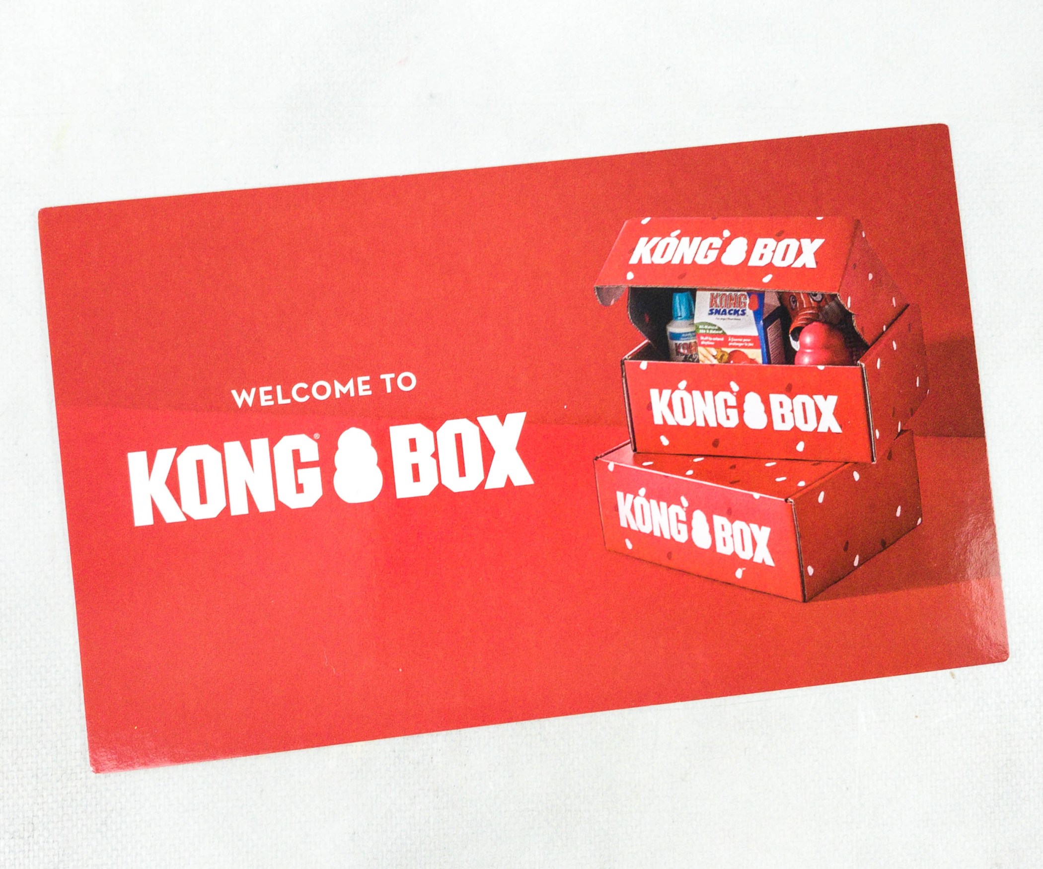 Kong Club Review + Coupon - December 2020 - Hello Subscription