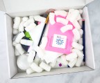 Artshine in a Box January 2021 Subscription Box Review + Coupon - Hello Subscription