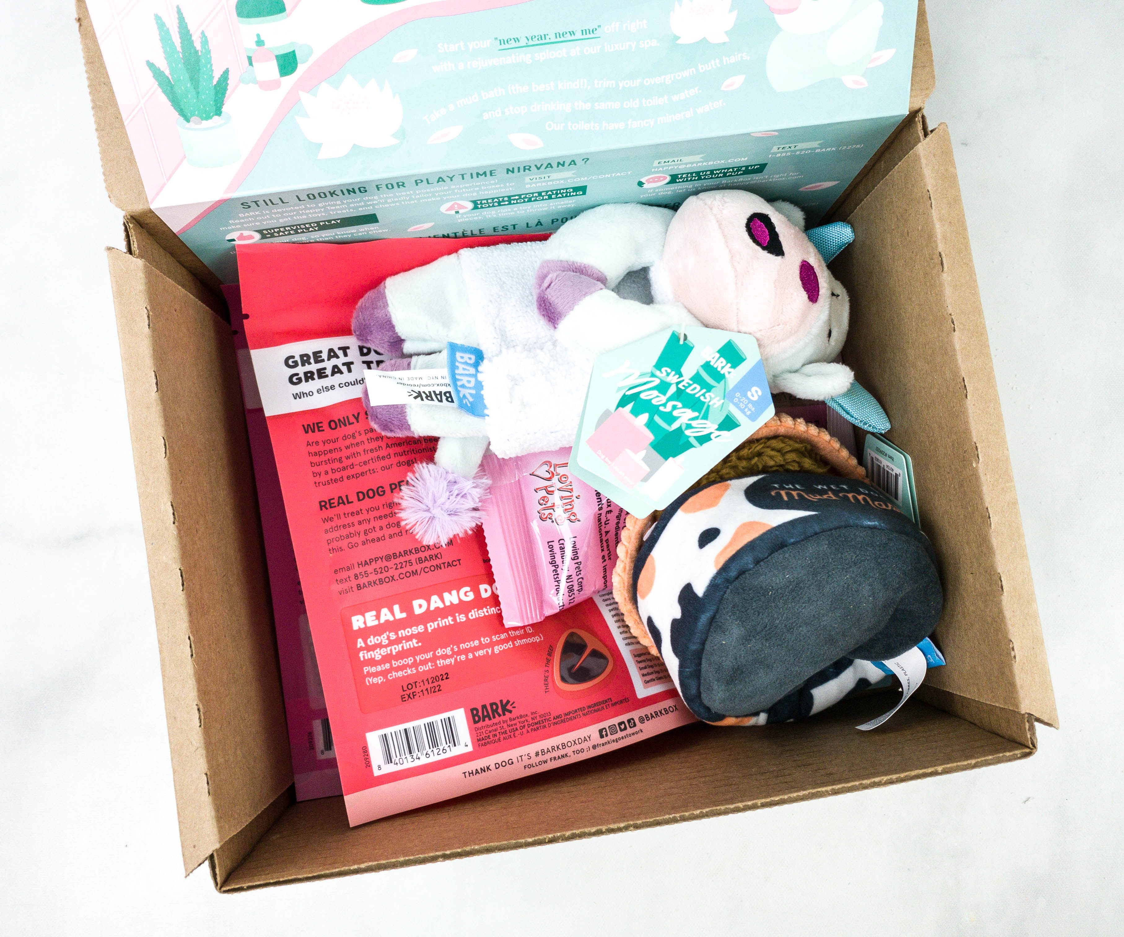 Barkbox Review + Coupon - January 2021 - Hello Subscription
