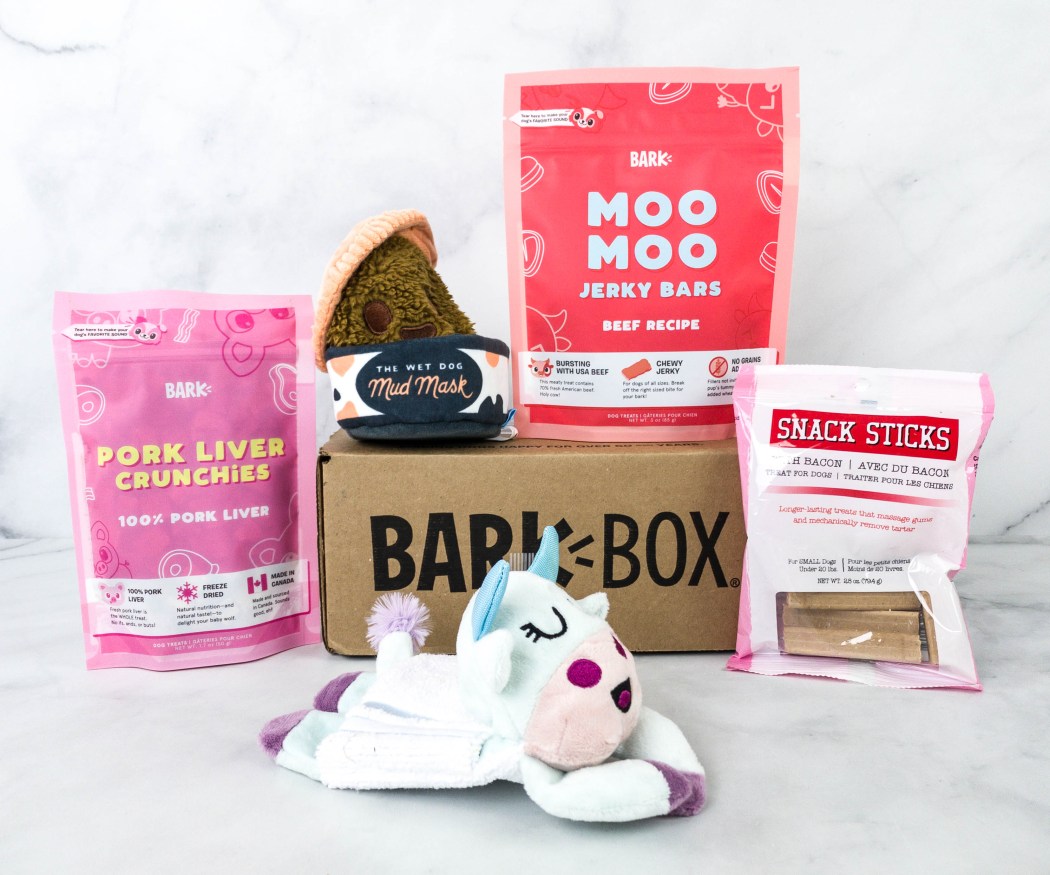Barkbox Reviews: Get All The Details At Hello Subscription!