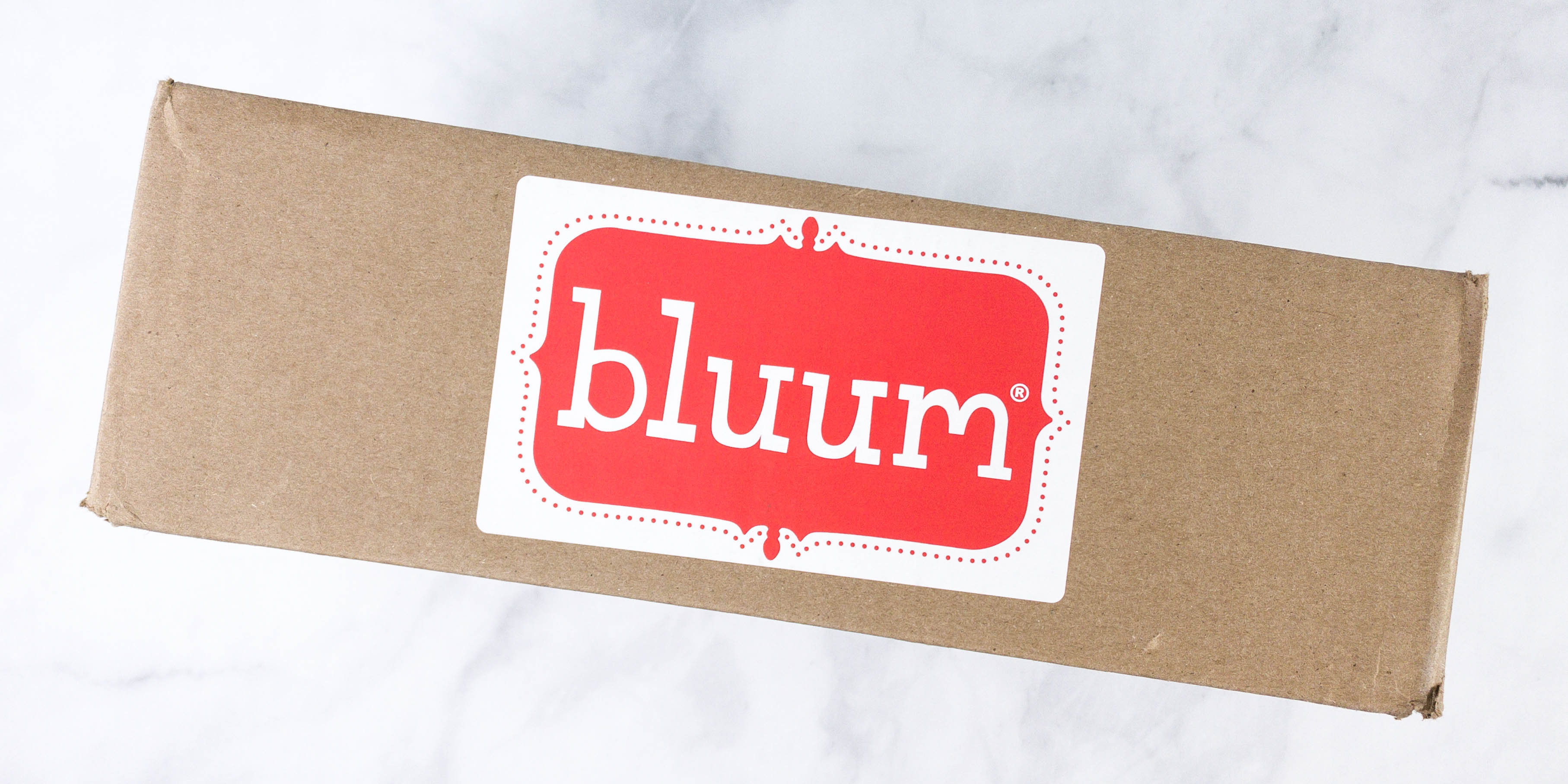 Bluum February 2021 Subscription Box Review + Coupon - Hello Subscription
