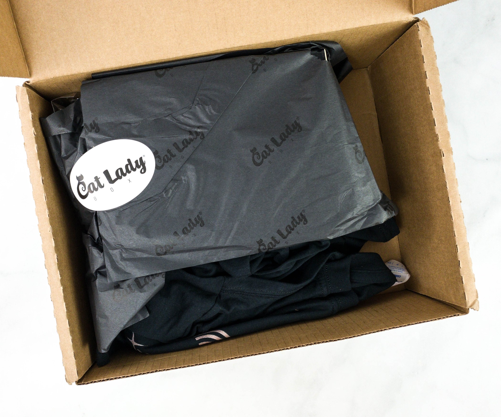 Cat Lady Box January 2021 Subscription Box Review - MEW YEAR 2021 ...