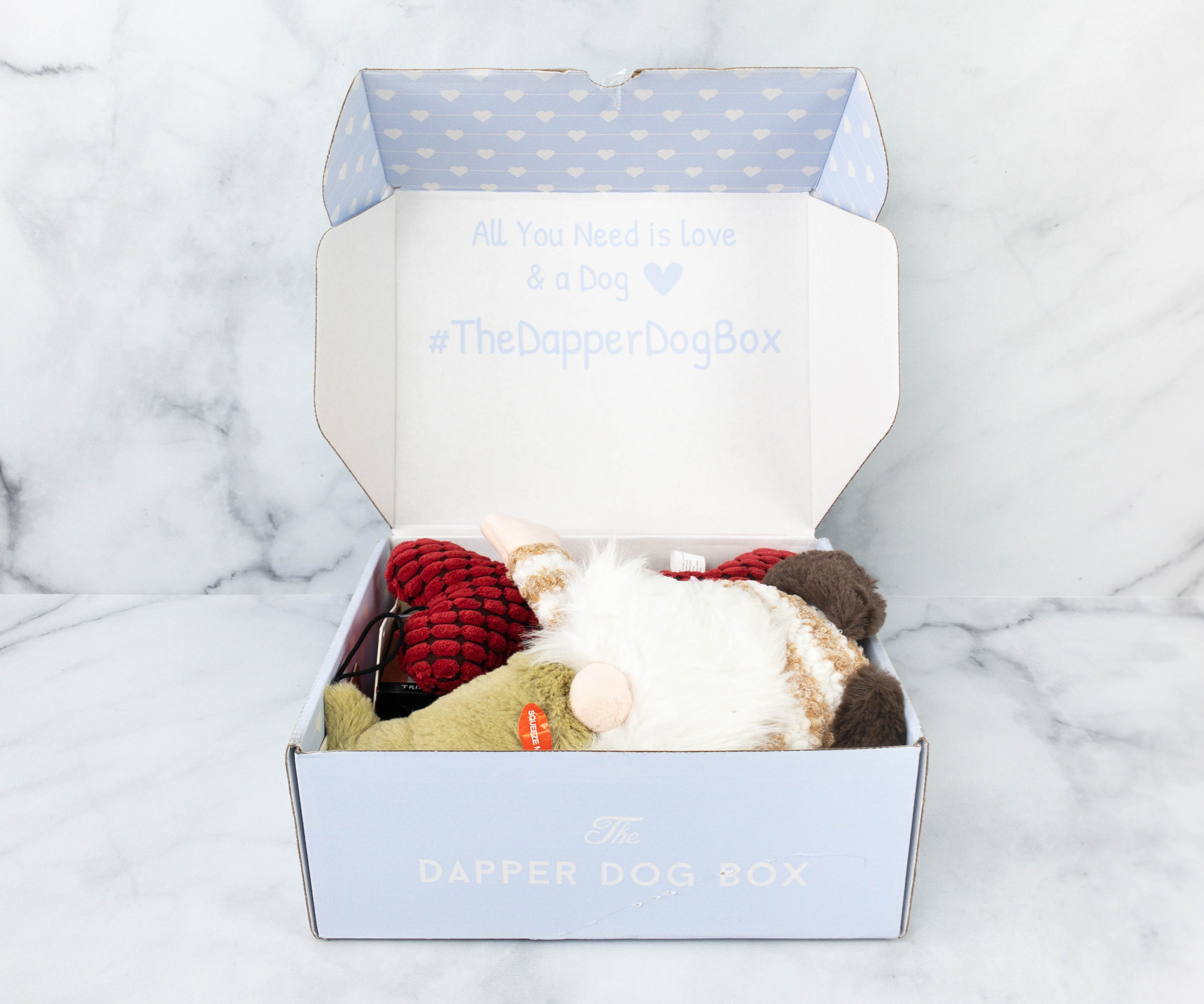 The Dapper Dog Box Review + Coupon - January 2021 - Hello Subscription