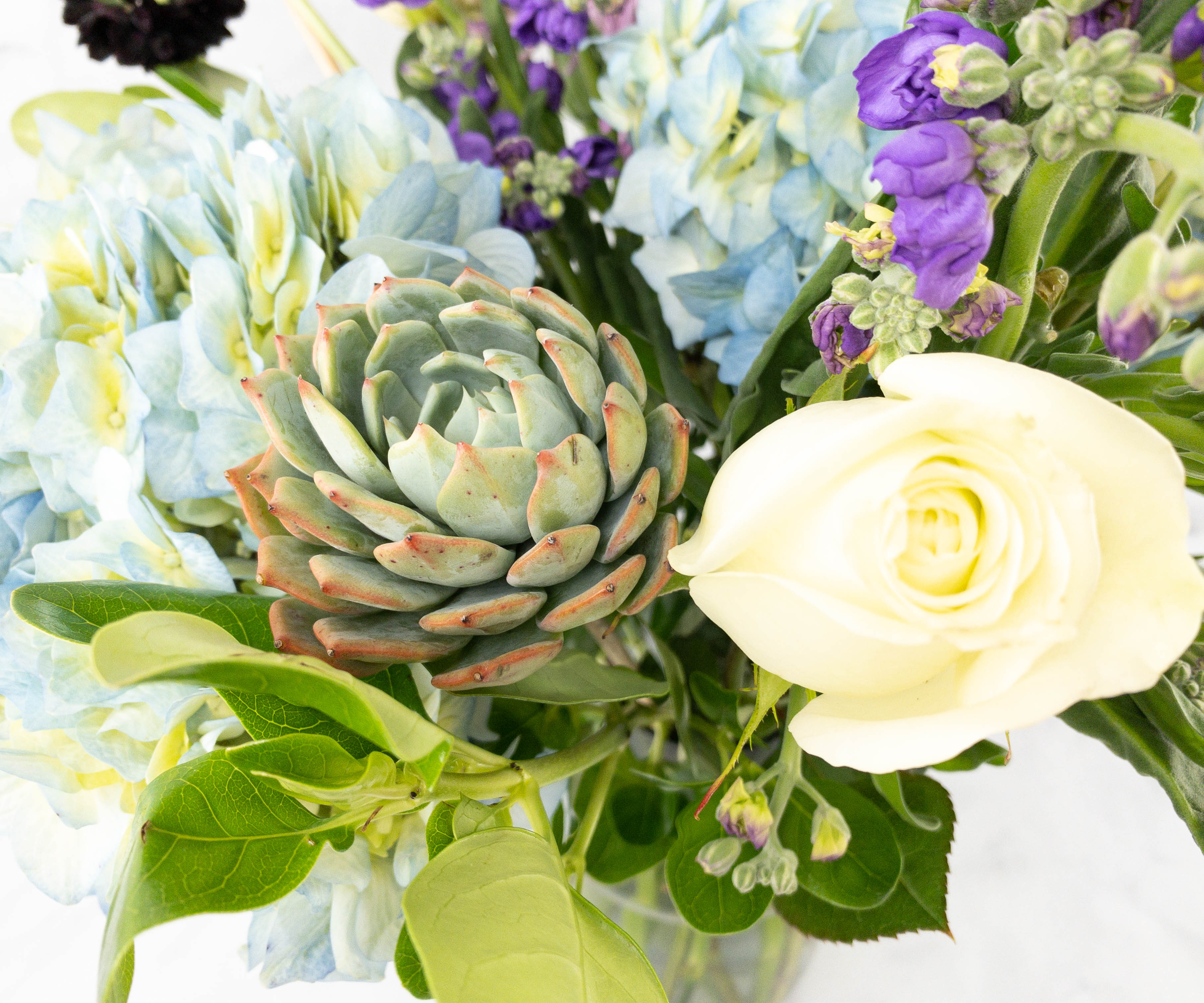 Enjoy Flowers Hallmark Flowers Review + Coupon - Hello Subscription