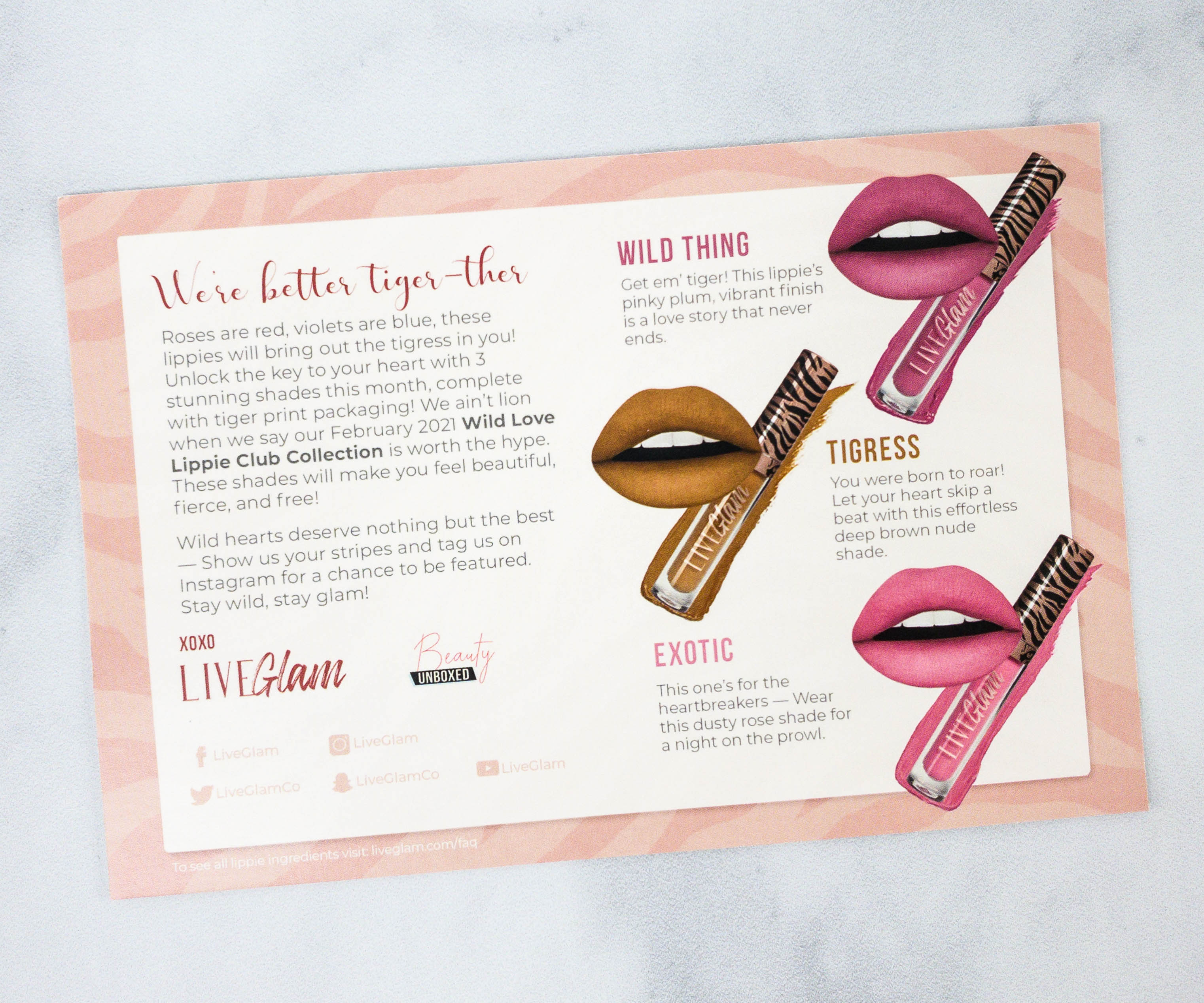 LiveGlam Lippie Club February 2021 Review + FREE Lipstick Coupon ...