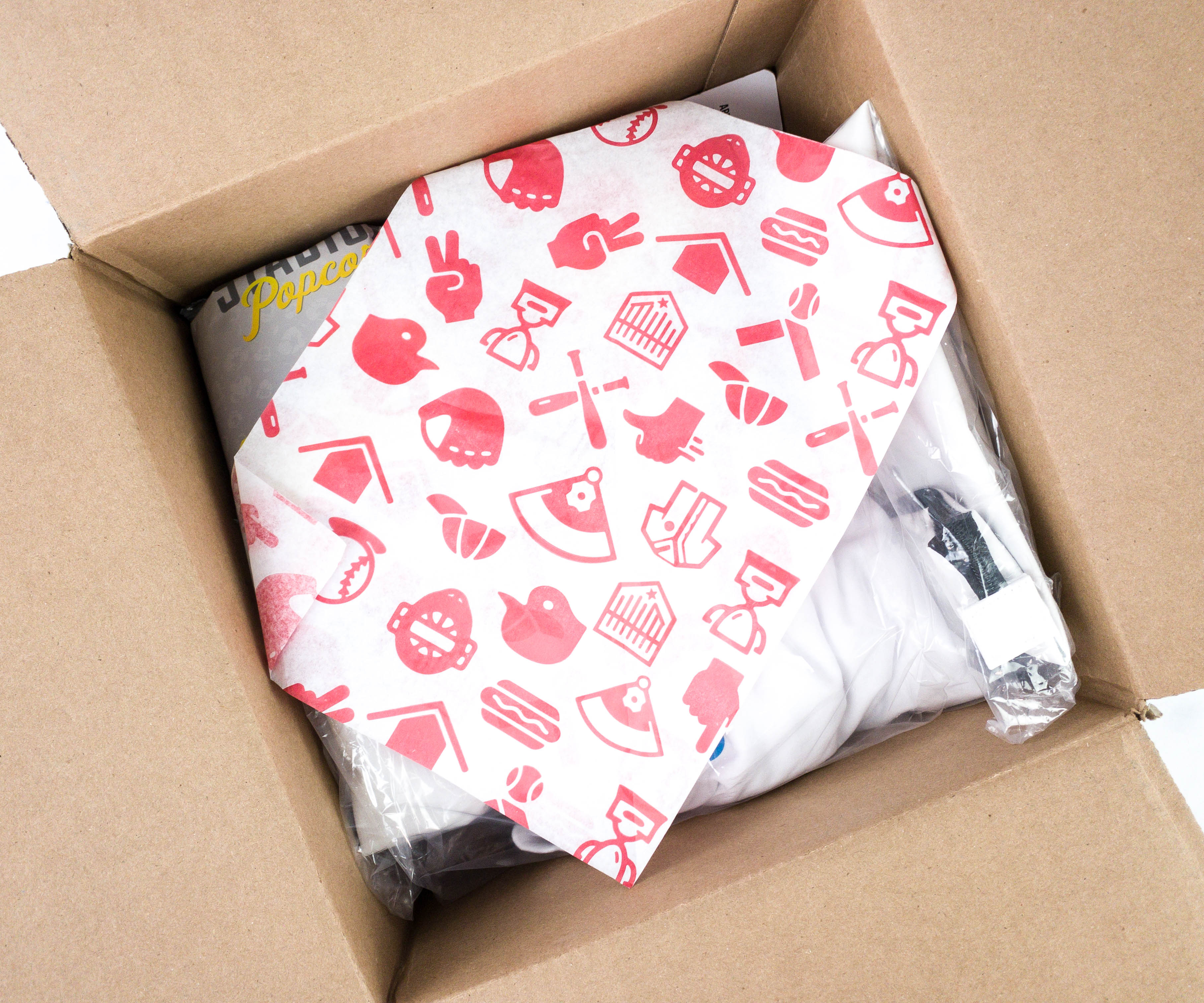 Plate Crate December 2020 Baseball Subscription Box Review + Coupon ...