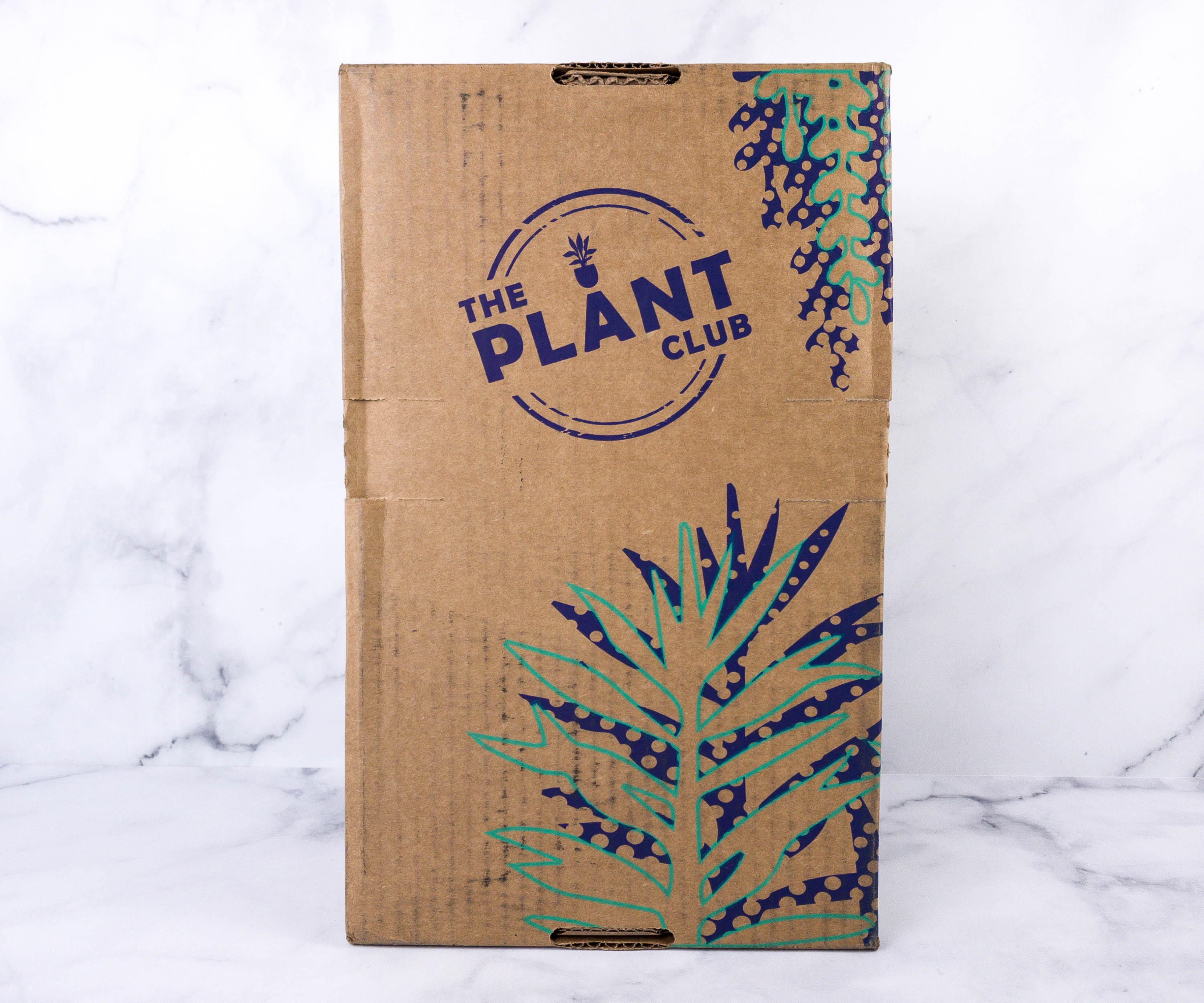 The Plant Club Subscription Box Review - January 2021 - Hello Subscription