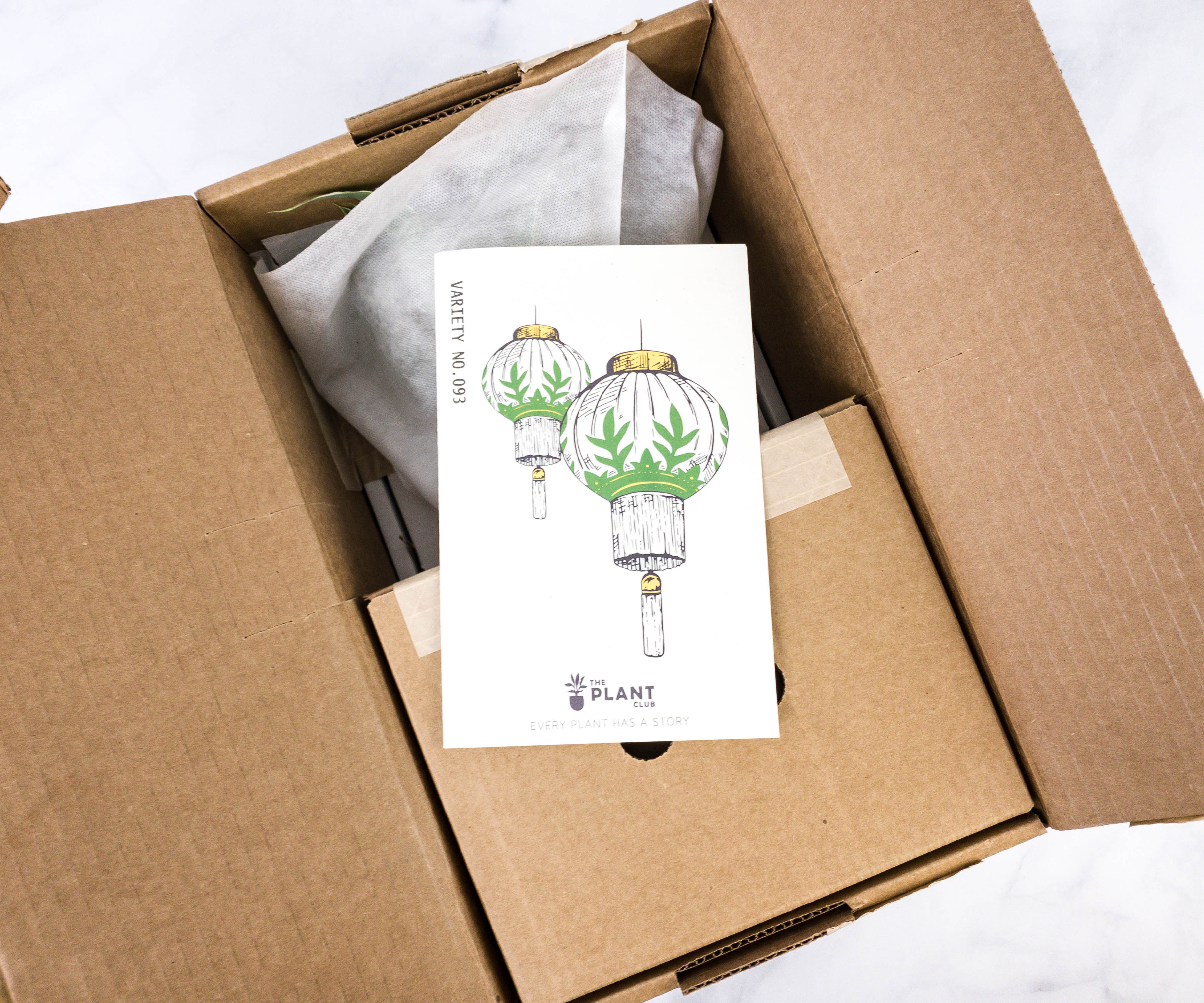 The Plant Club Subscription Box Review - January 2021 - Hello Subscription