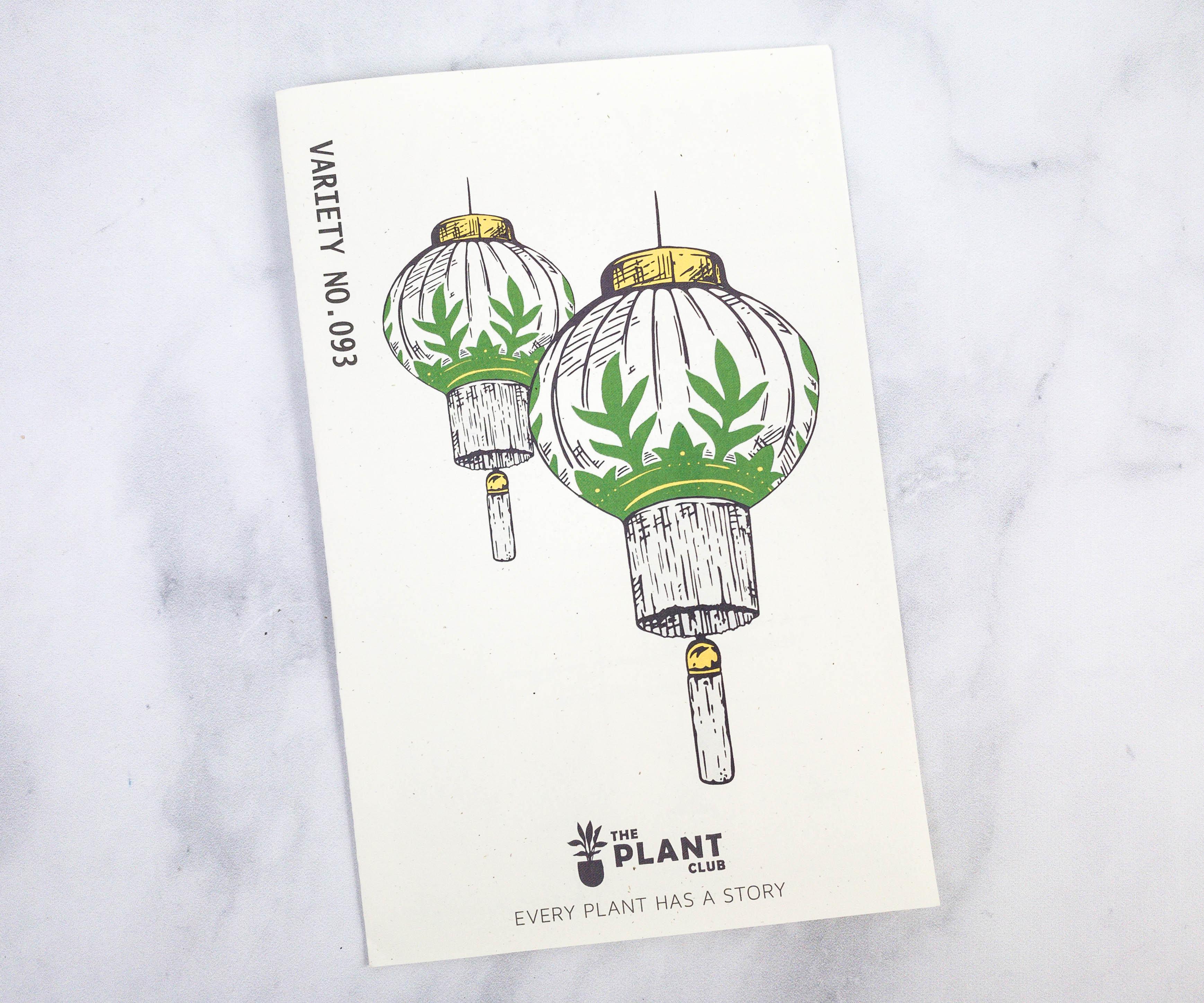 The Plant Club Subscription Box Review - January 2021 - Hello Subscription