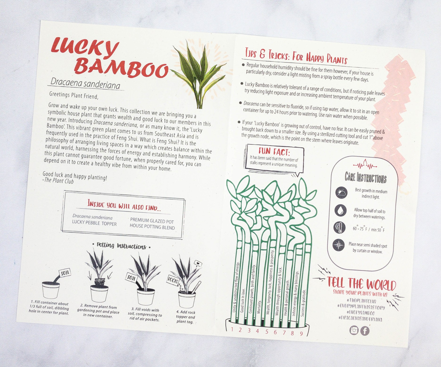 The Plant Club Subscription Box Review - January 2021 - Hello Subscription