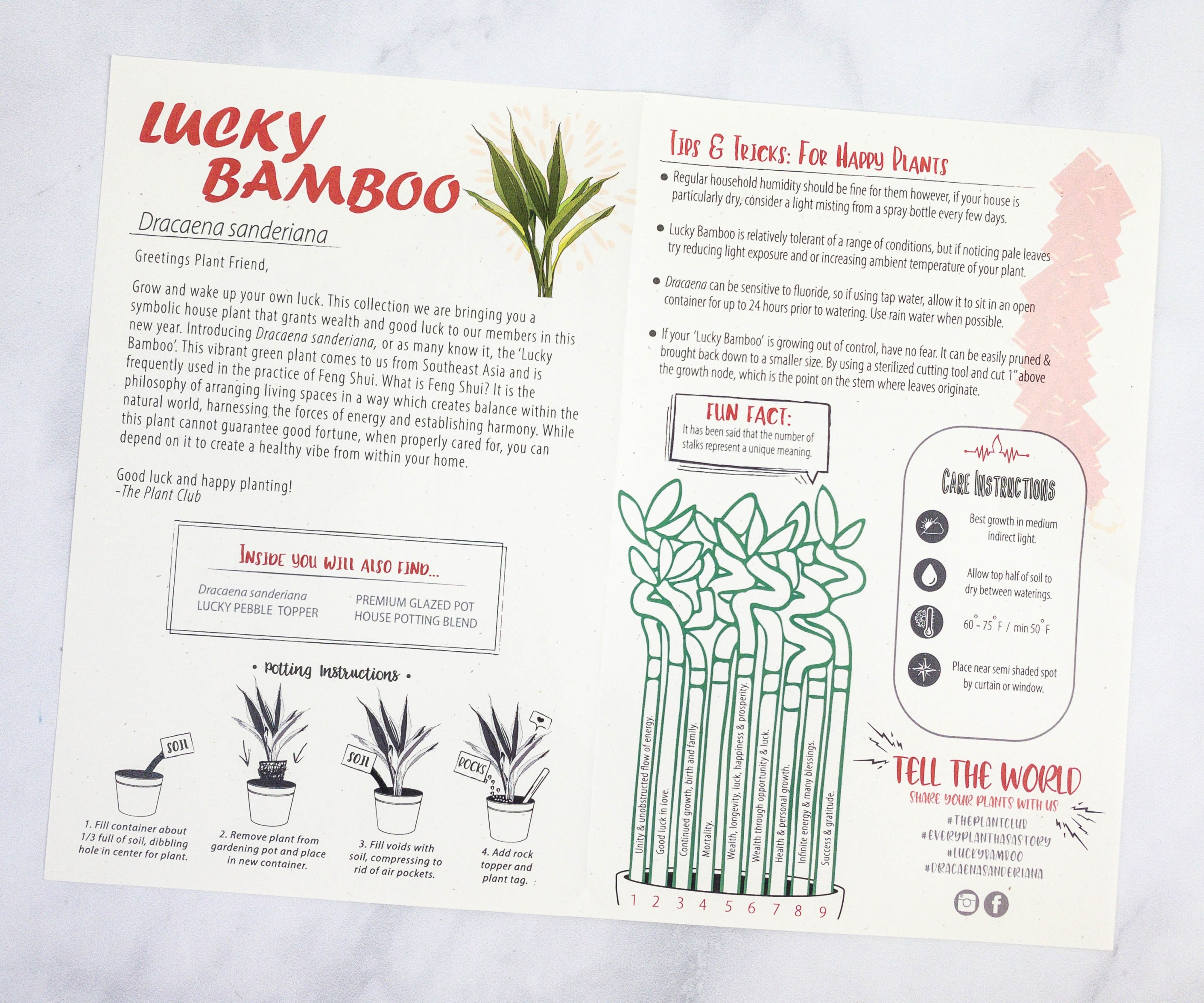 The Plant Club Subscription Box Review - January 2021 - Hello Subscription