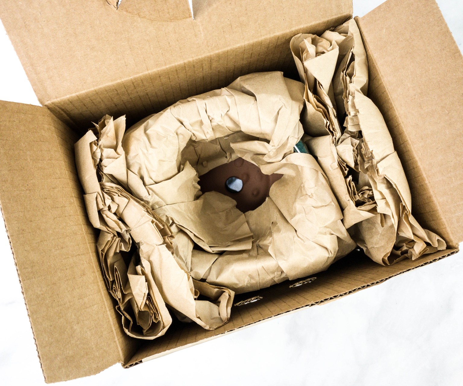 The Plant Club Subscription Box Review - January 2021 - Hello Subscription