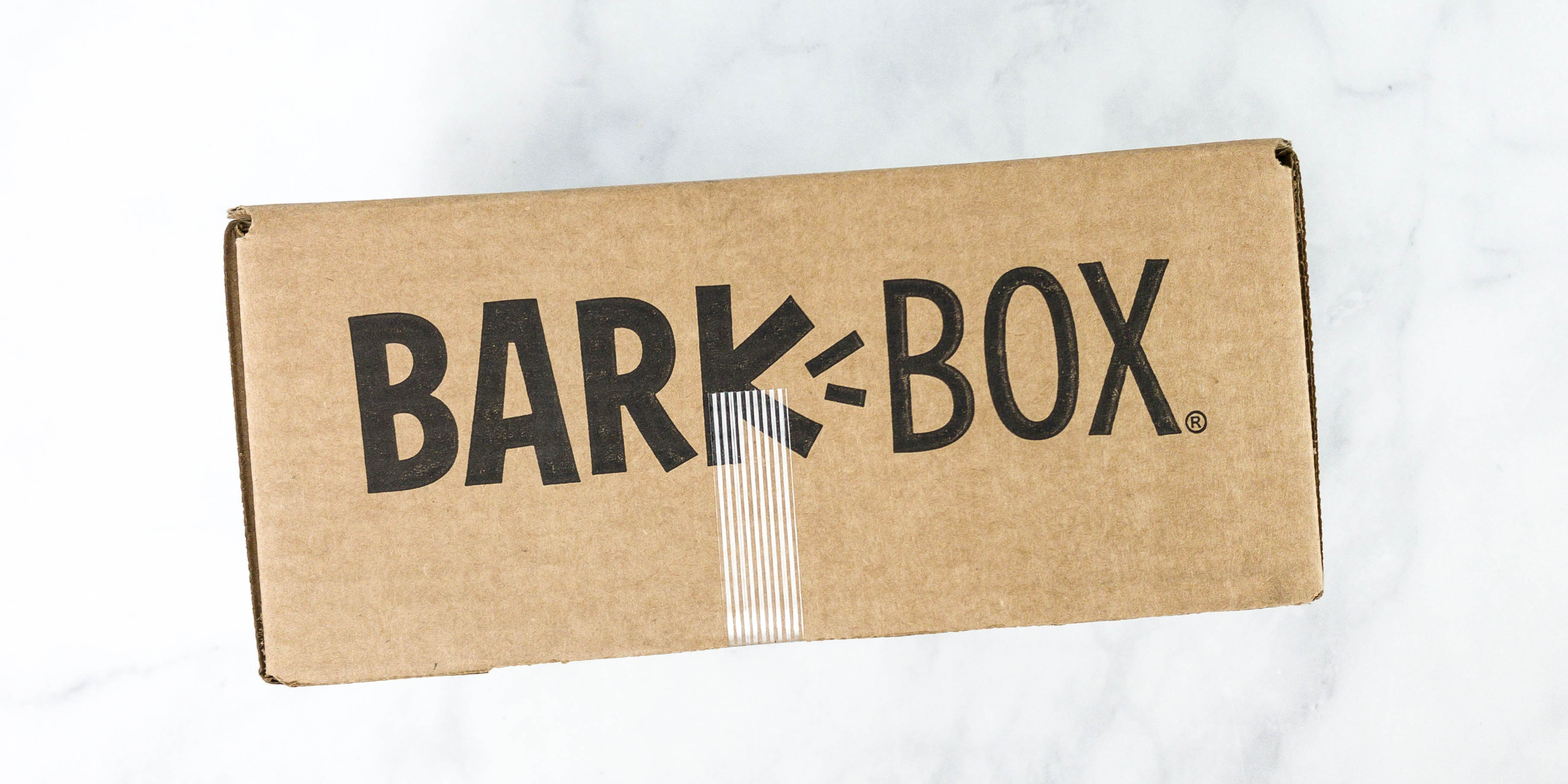 Barkbox Review + Coupon - February 2021 - Hello Subscription