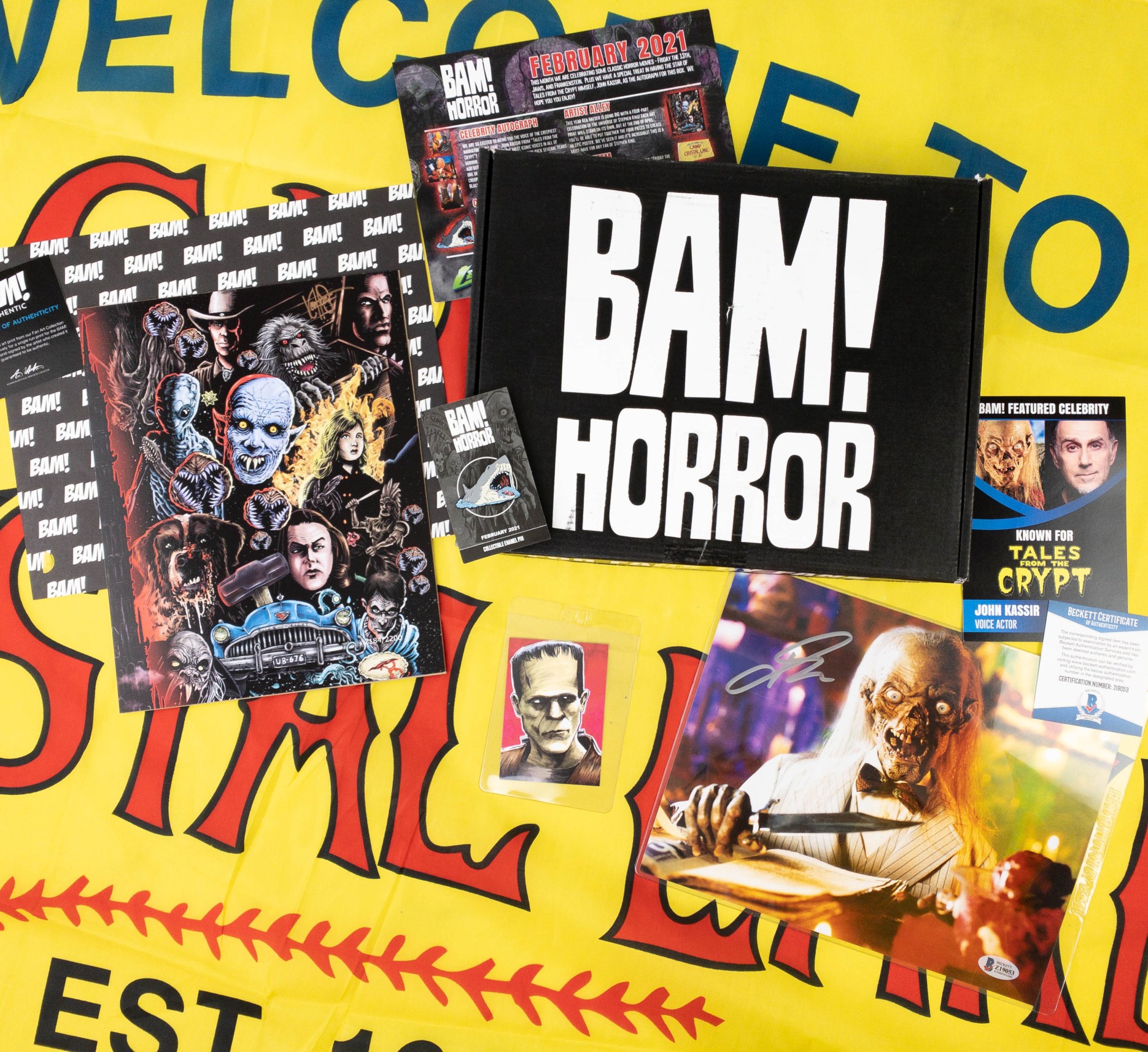 The BAM! Horror Box Reviews: Get All The Details At Hello Subscription!