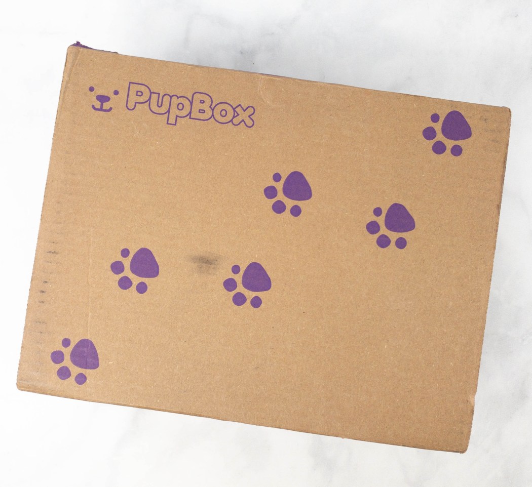 PupBox March 2021 Subscription Box Review + Coupon! - Hello Subscription