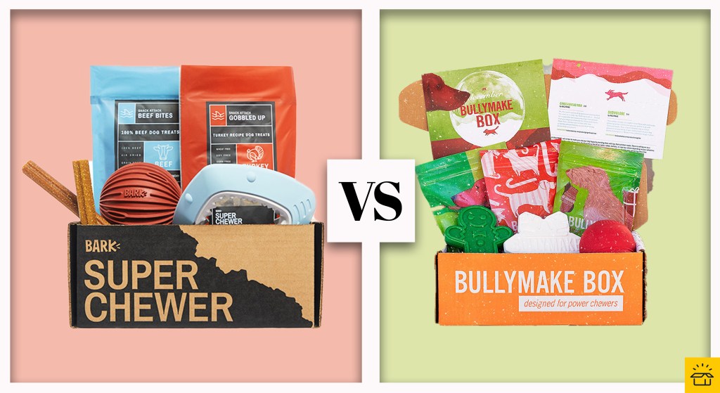 Bullymake Box Reviews: Get All The Details At Hello Subscription!