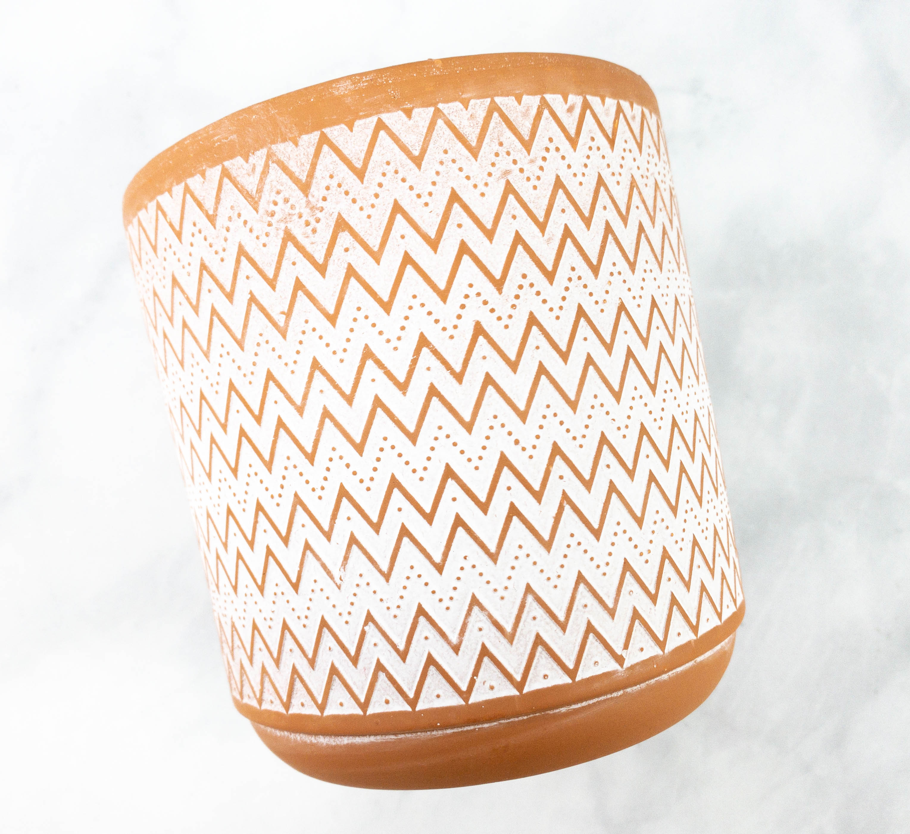 The Plant Club Subscription Box Review + Coupon - March 2021 - Hello ...