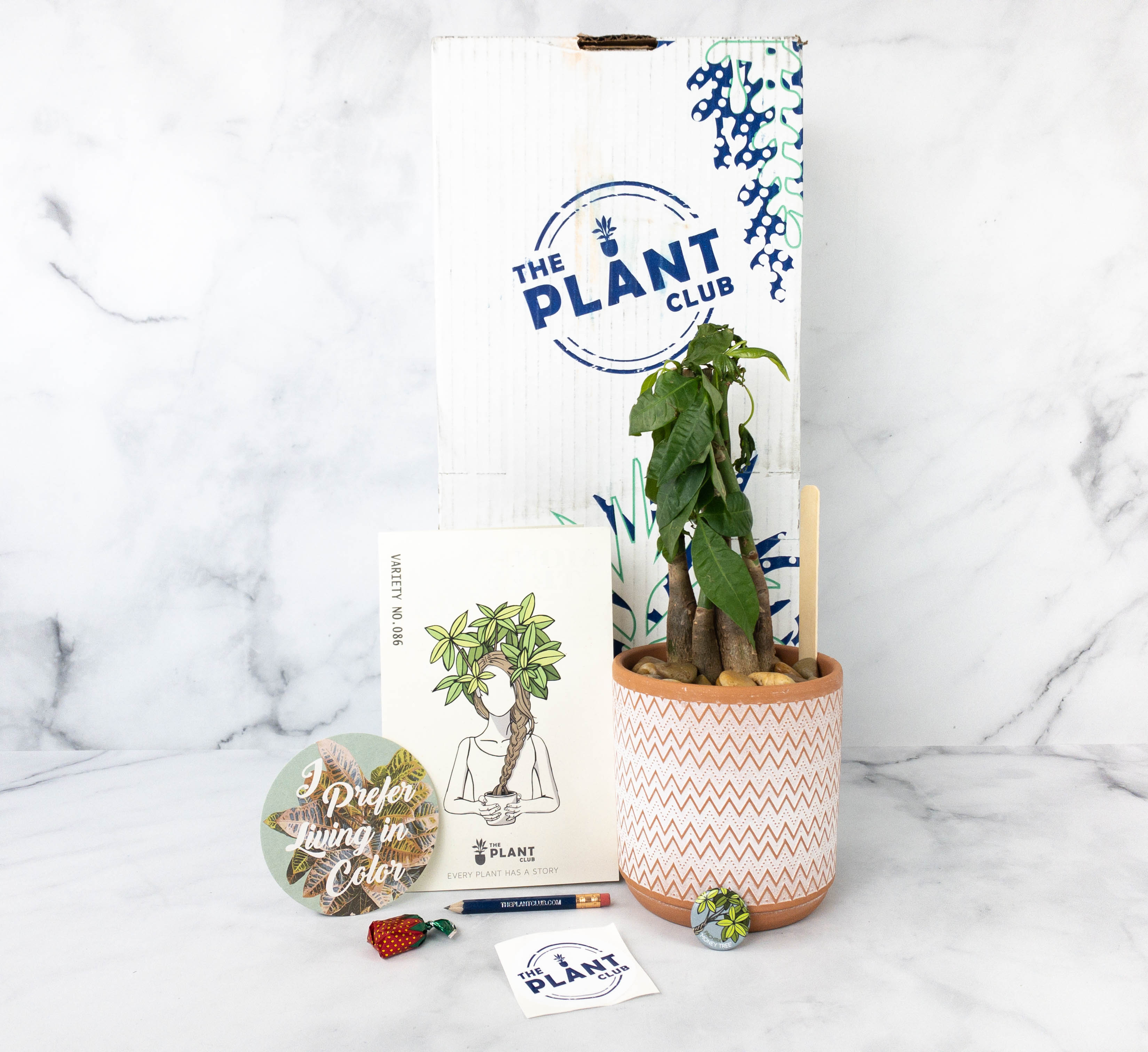 The Plant Club Reviews - Hello Subscription