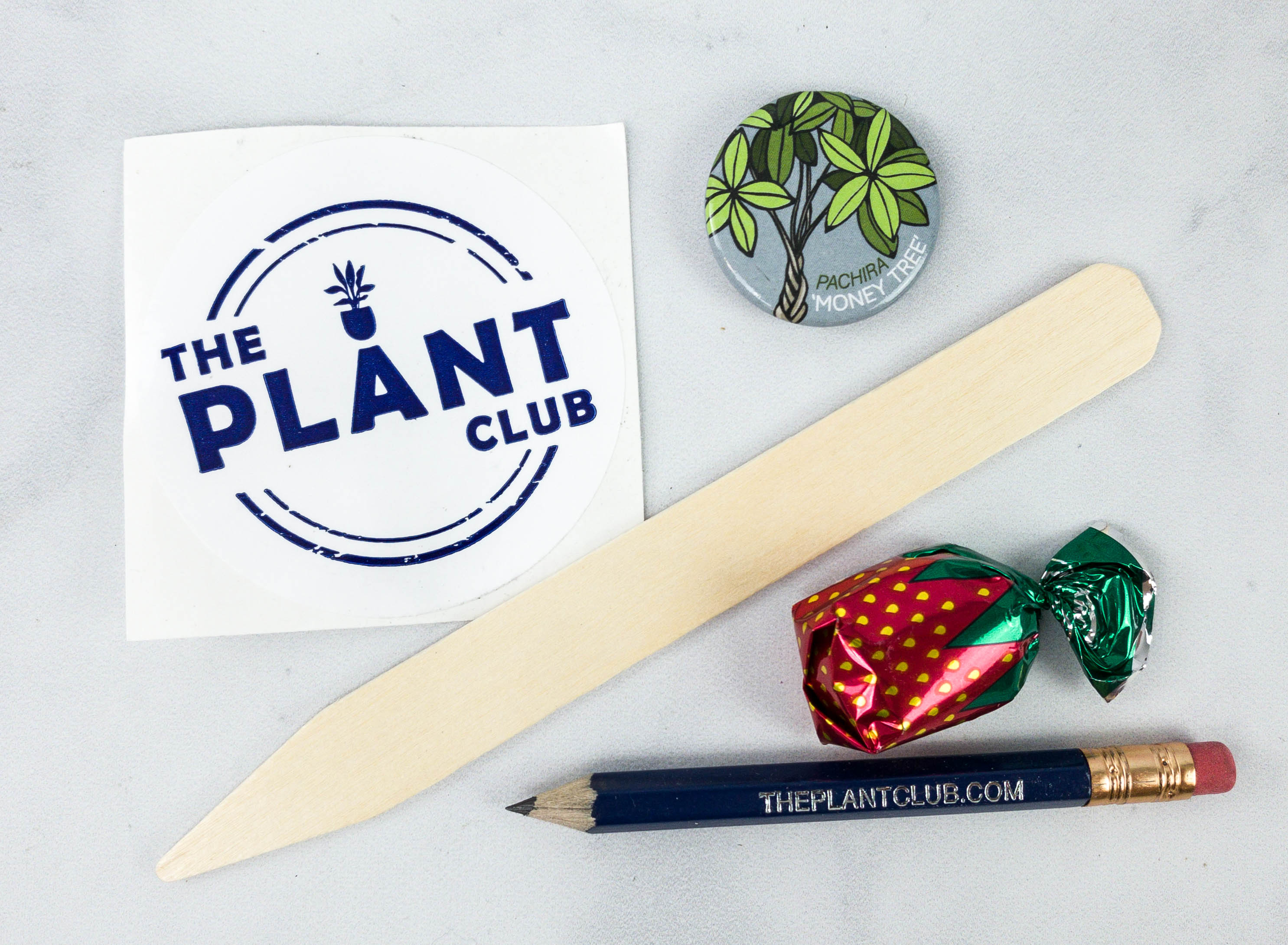 The Plant Club Subscription Box Review + Coupon - March 2021 - Hello ...