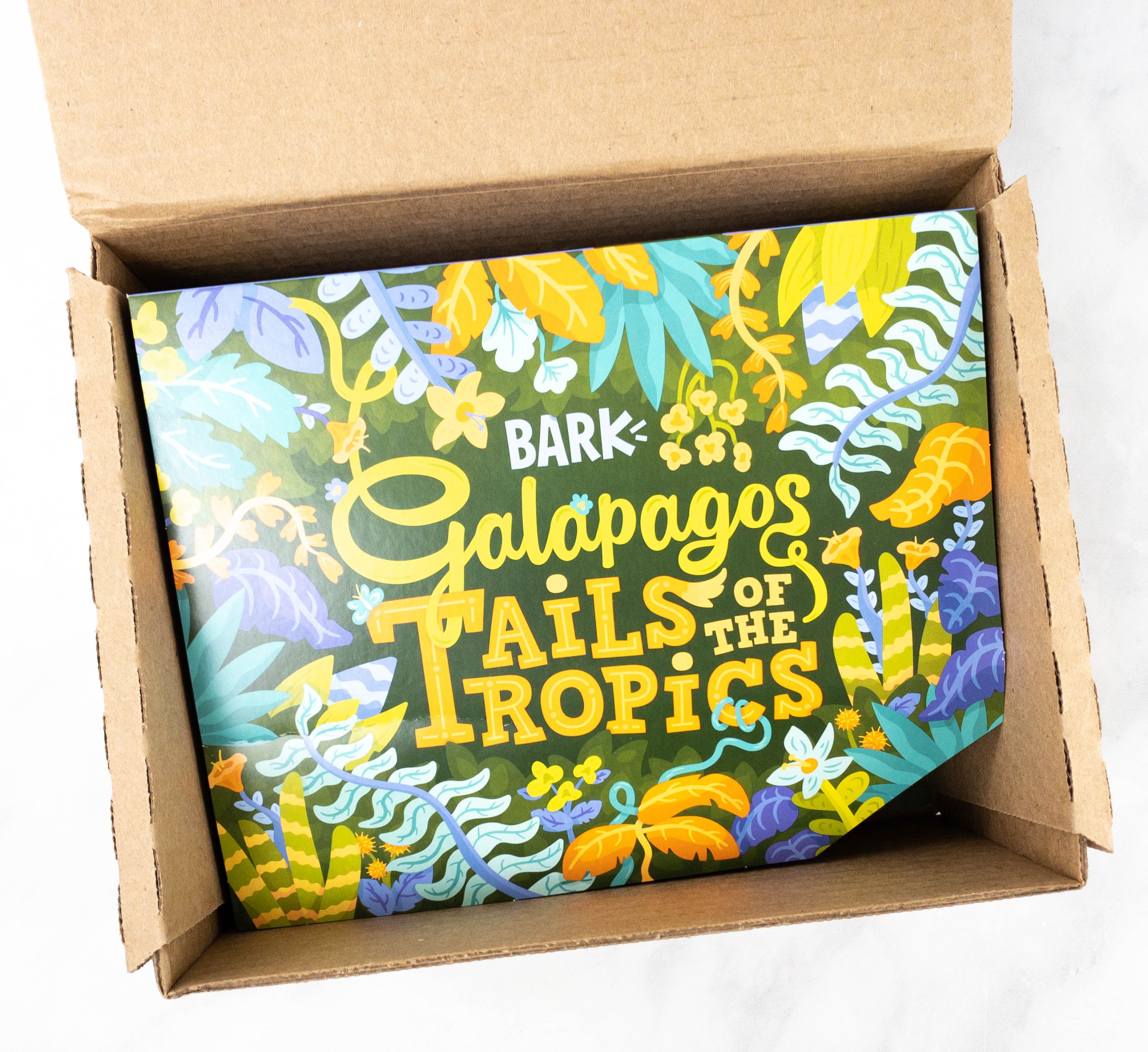 Barkbox Review + Coupon - April 2021 - Hello Subscription