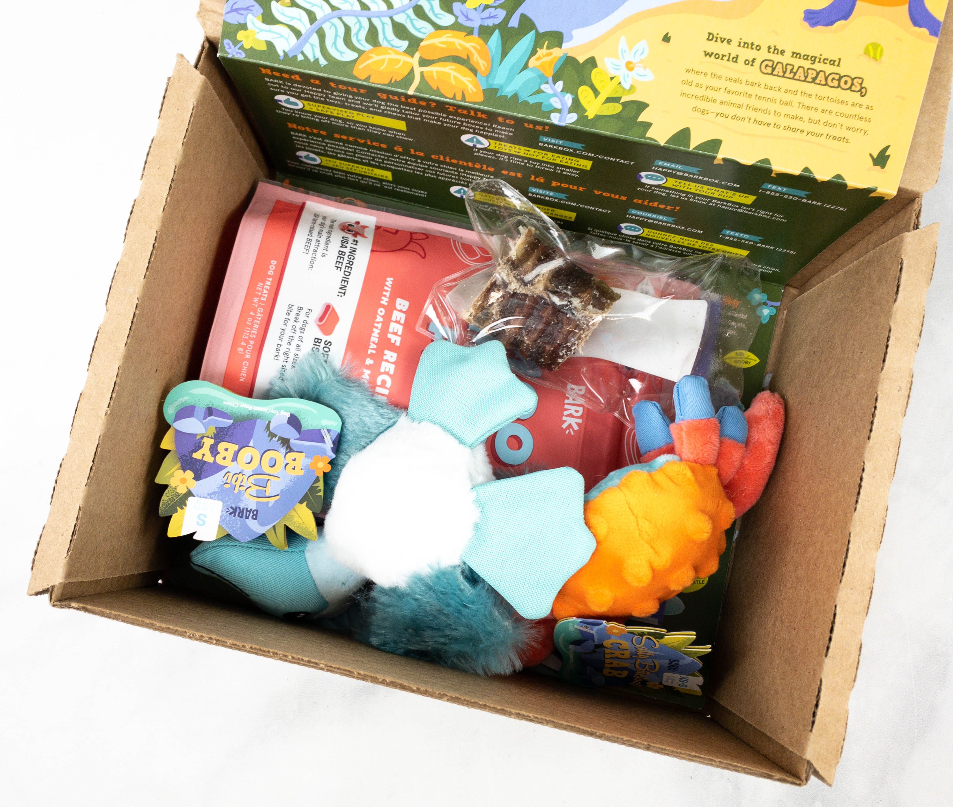 Barkbox Review + Coupon - April 2021 - Hello Subscription