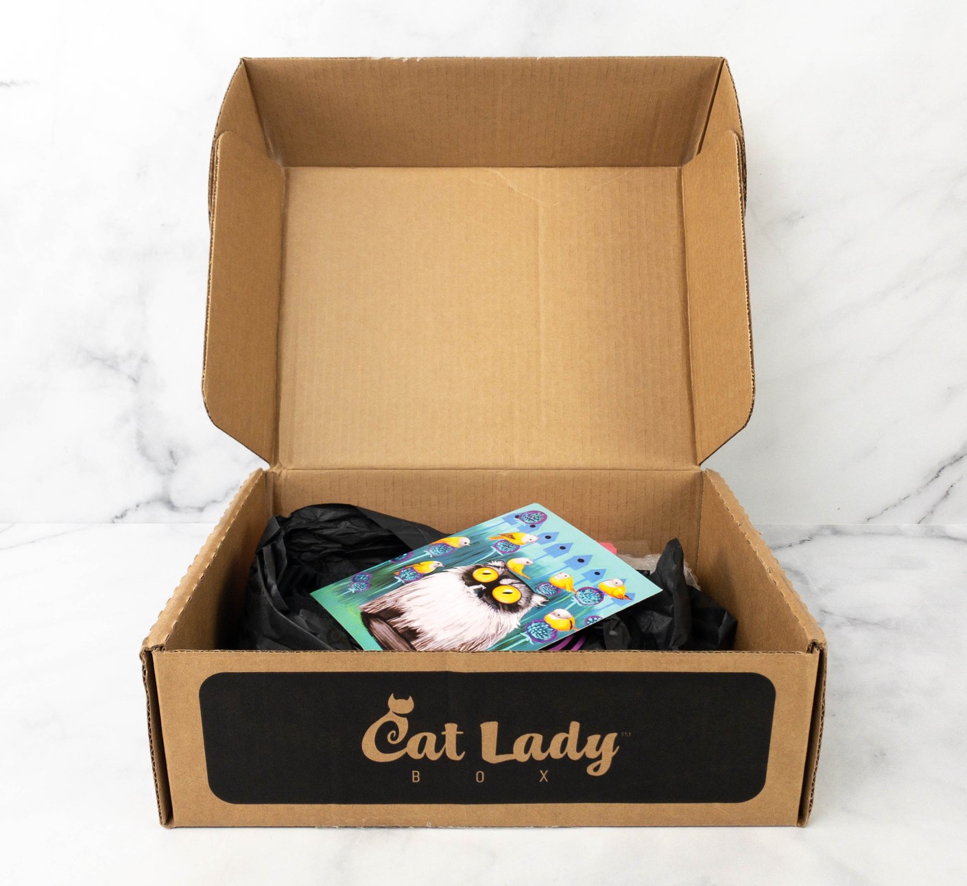 Cat Lady Box April 2021 Subscription Box Review - NEON VIBES! - Hello ...