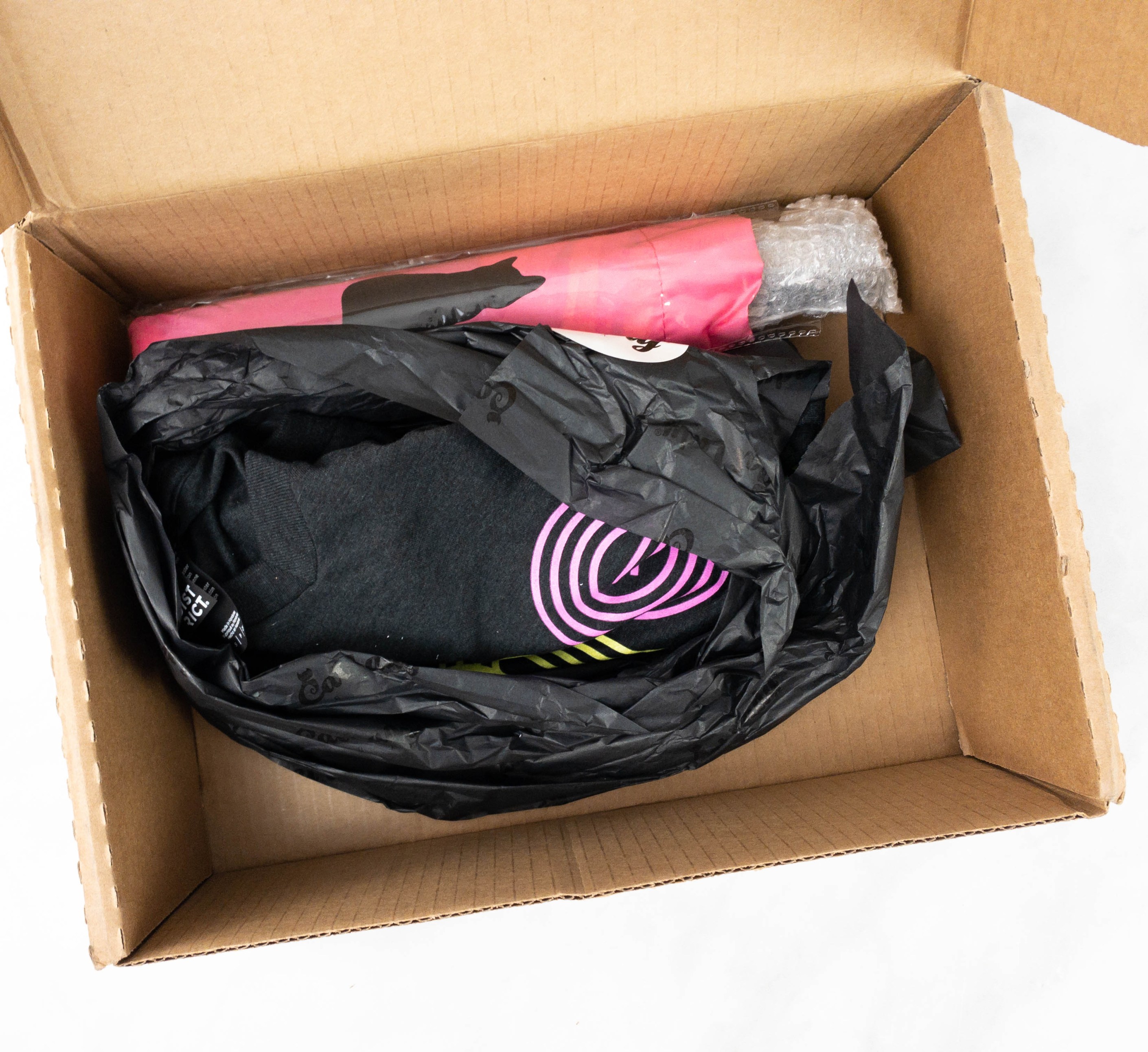 Cat Lady Box April 2021 Subscription Box Review - NEON VIBES! - Hello ...