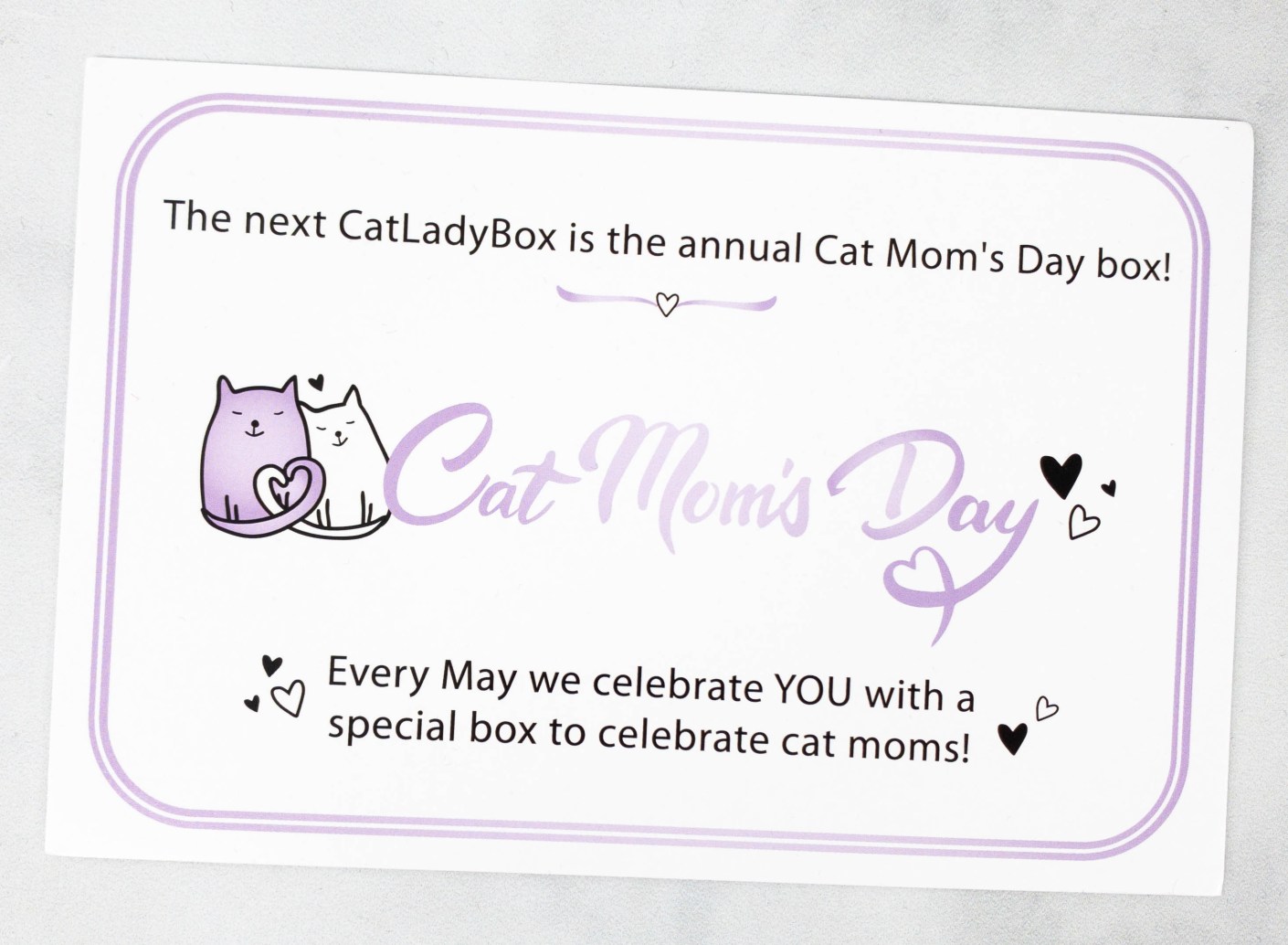 Cat Lady Box April 2021 Subscription Box Review - NEON VIBES! - Hello ...