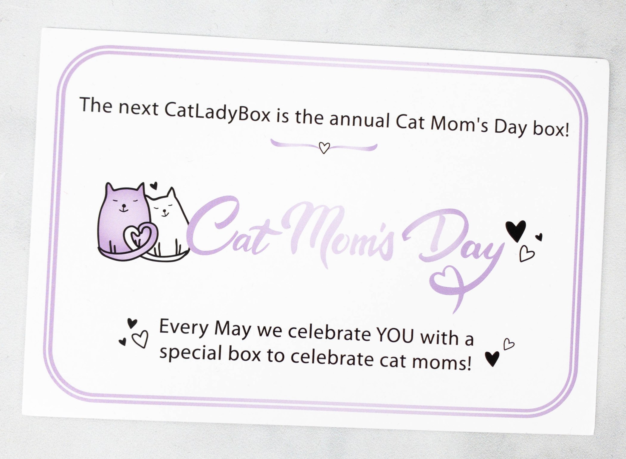 Cat Lady Box April 2021 Subscription Box Review - NEON VIBES! - Hello ...