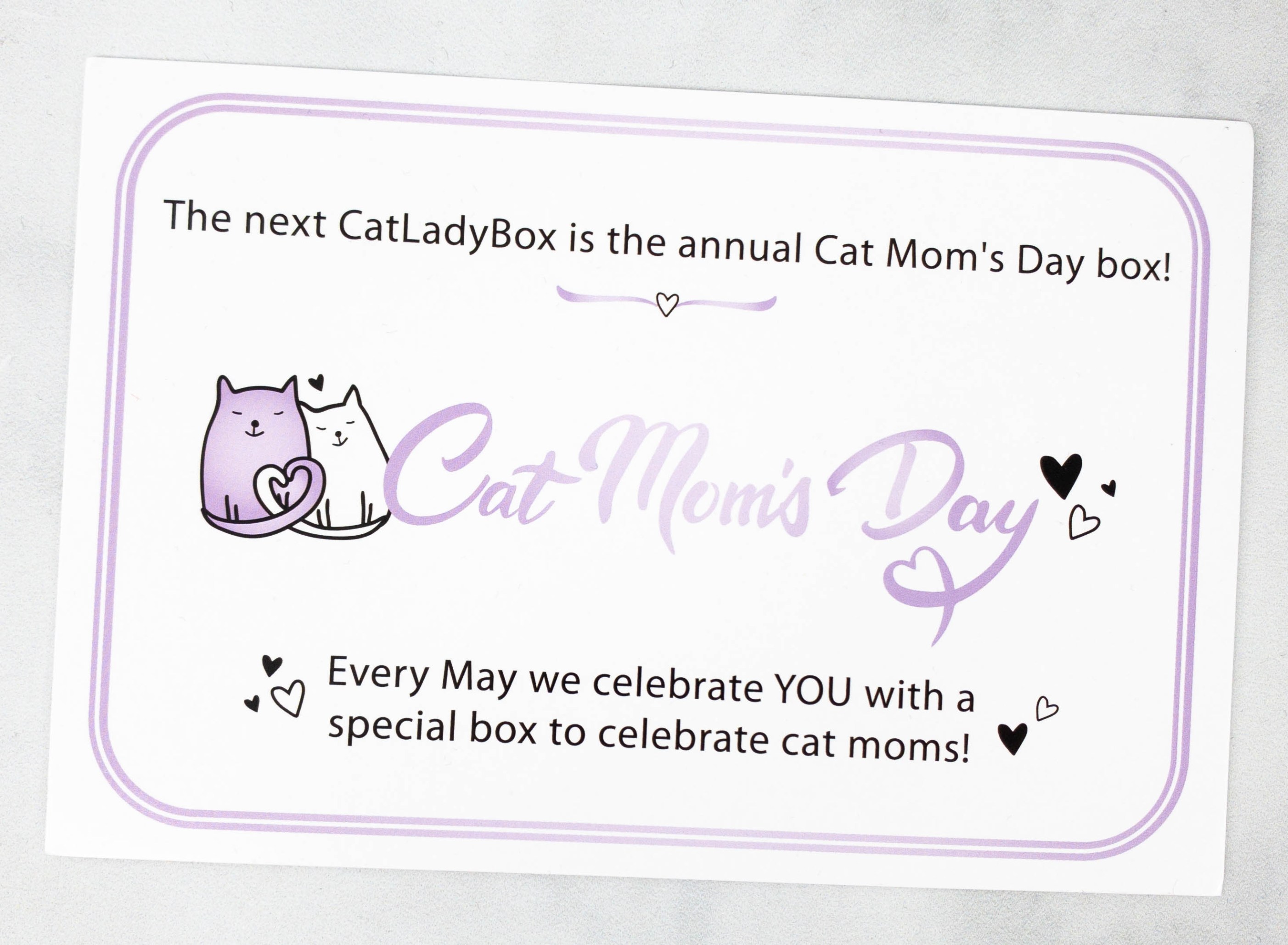 Cat Lady Box April 2021 Subscription Box Review - NEON VIBES! - Hello ...