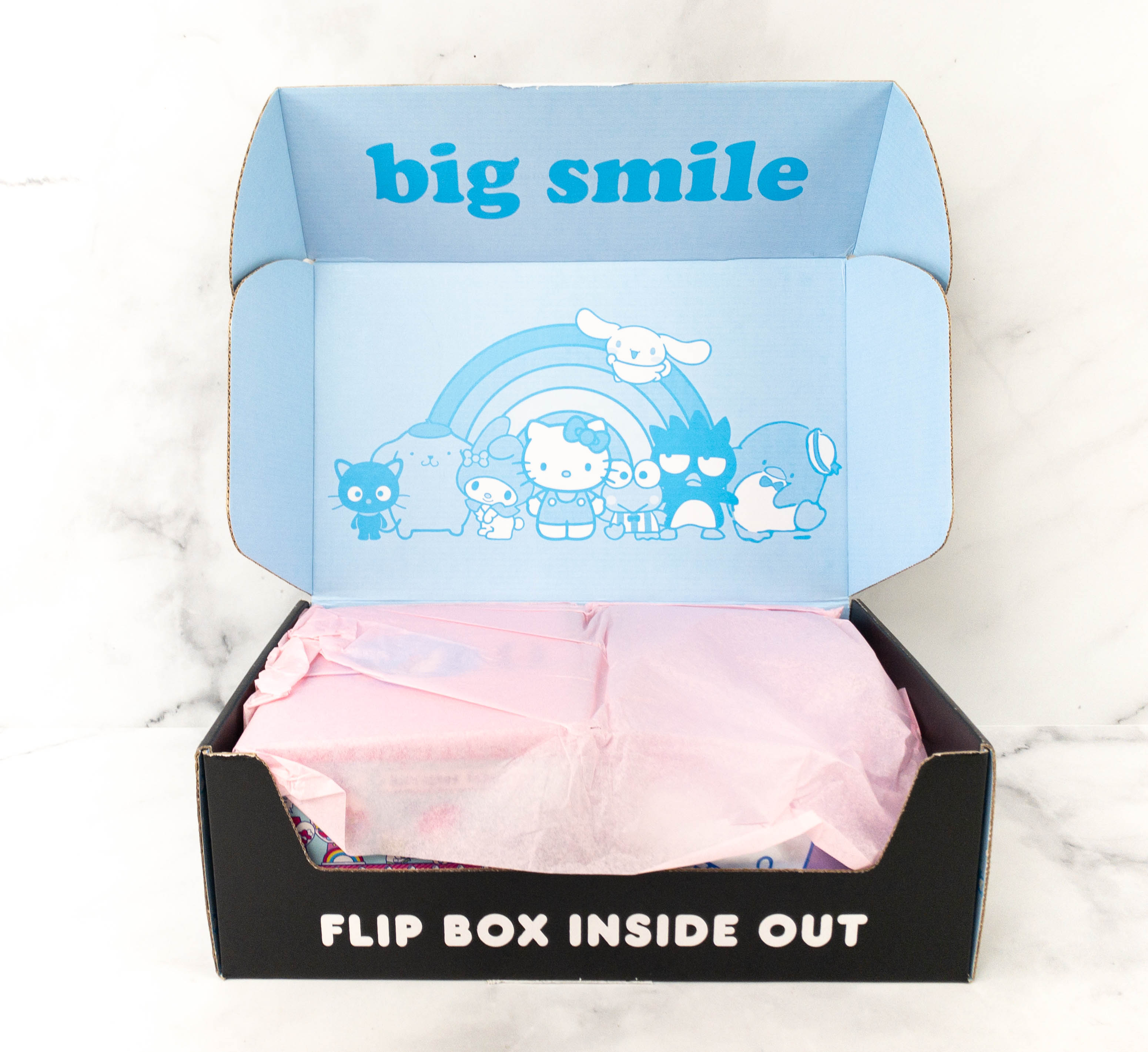 Hello Kitty and Friends Box Review + Coupon - February 2021 - Hello ...
