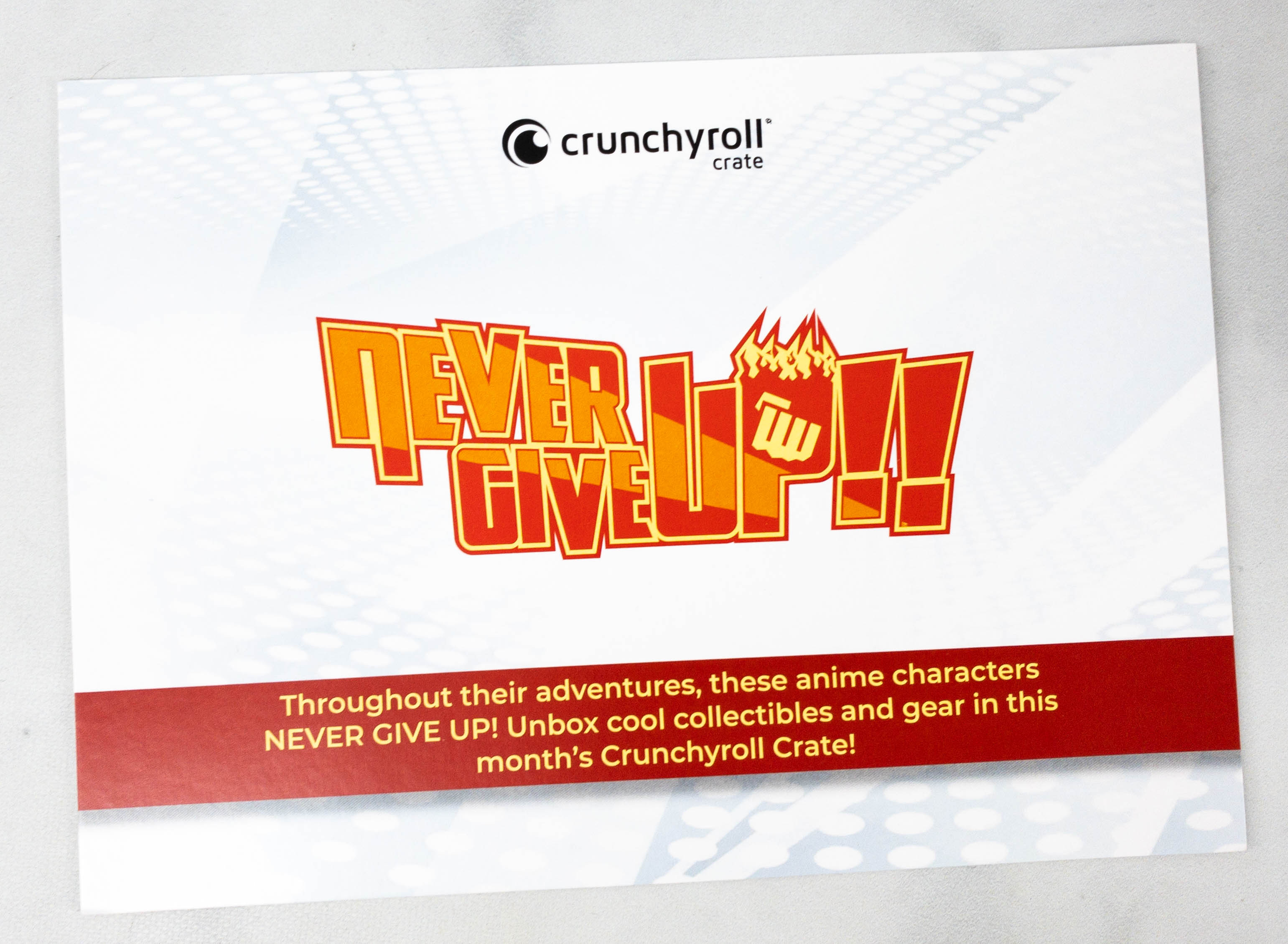 Crunchyroll Crate "NEVER GIVE UP" April 2021 Subscription Box Review ...