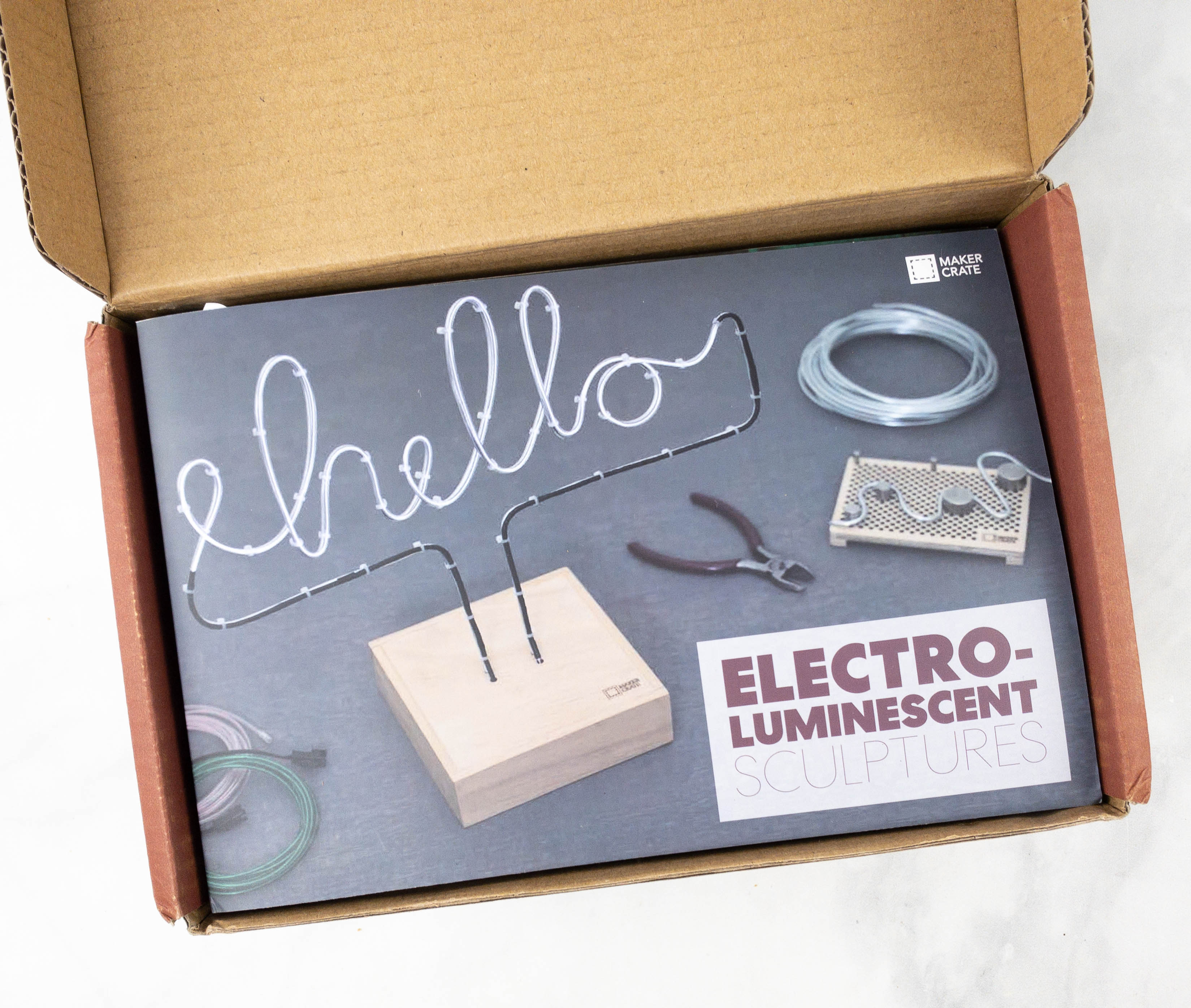 Maker Crate Review + Coupon - ELECTRO-LUMINESCENT SCULPTURES - Hello ...