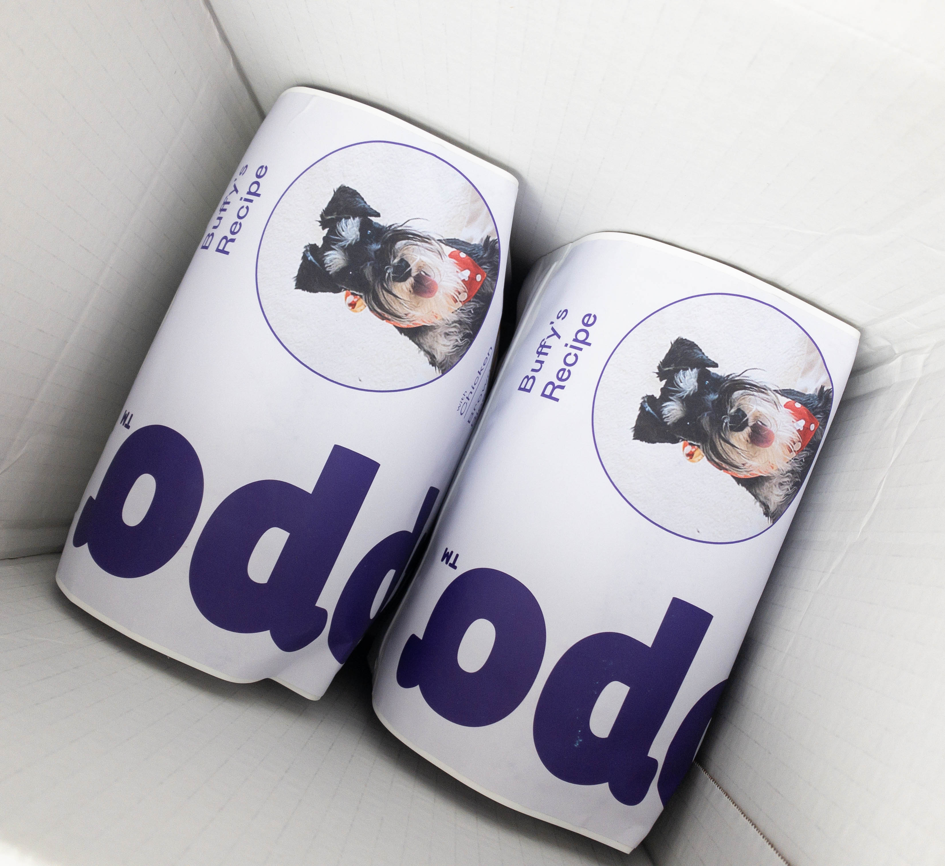 Puppo Dog Food Review + Coupon - Hello Subscription