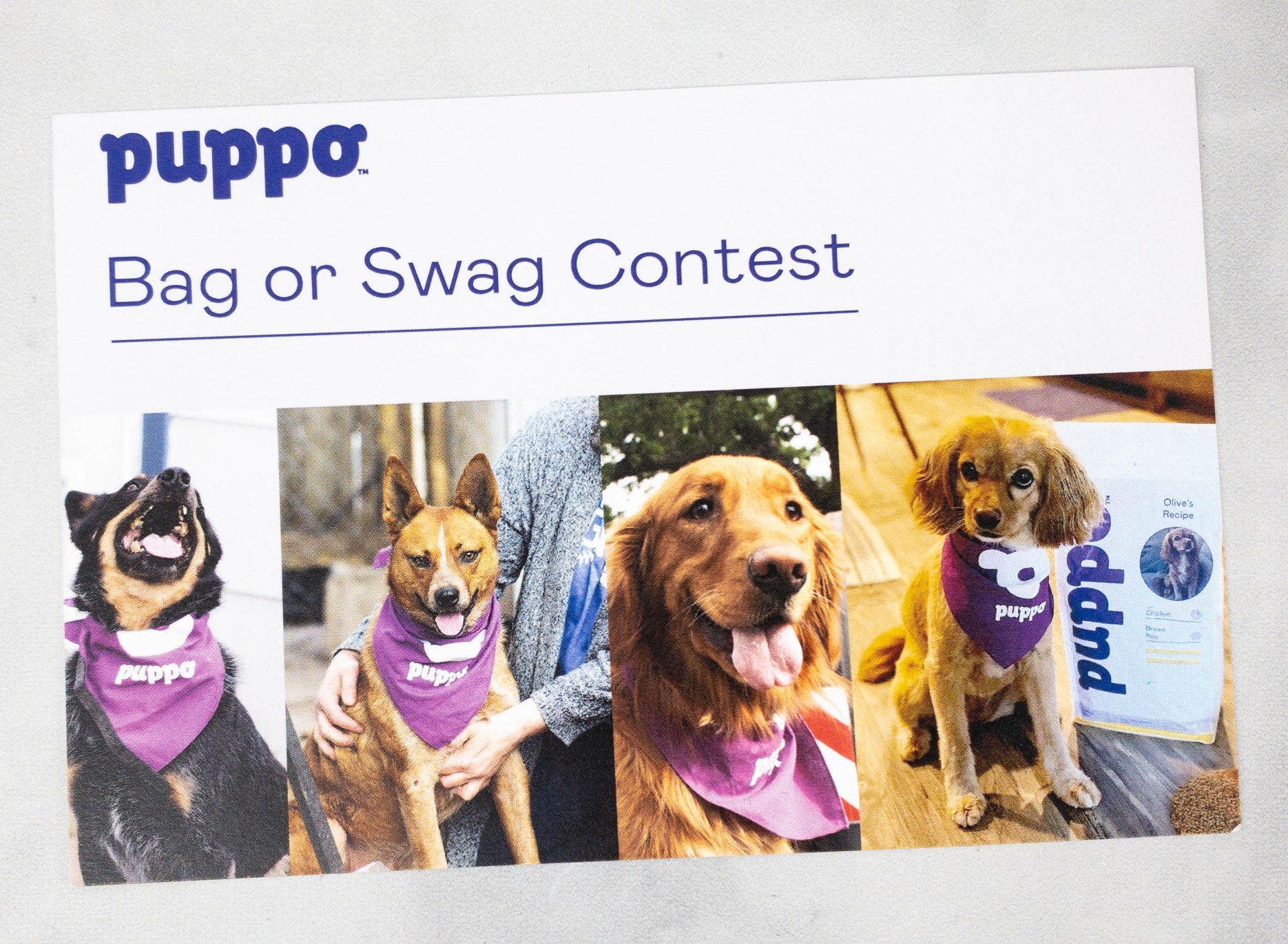 Puppo Dog Food Review + Coupon - Hello Subscription