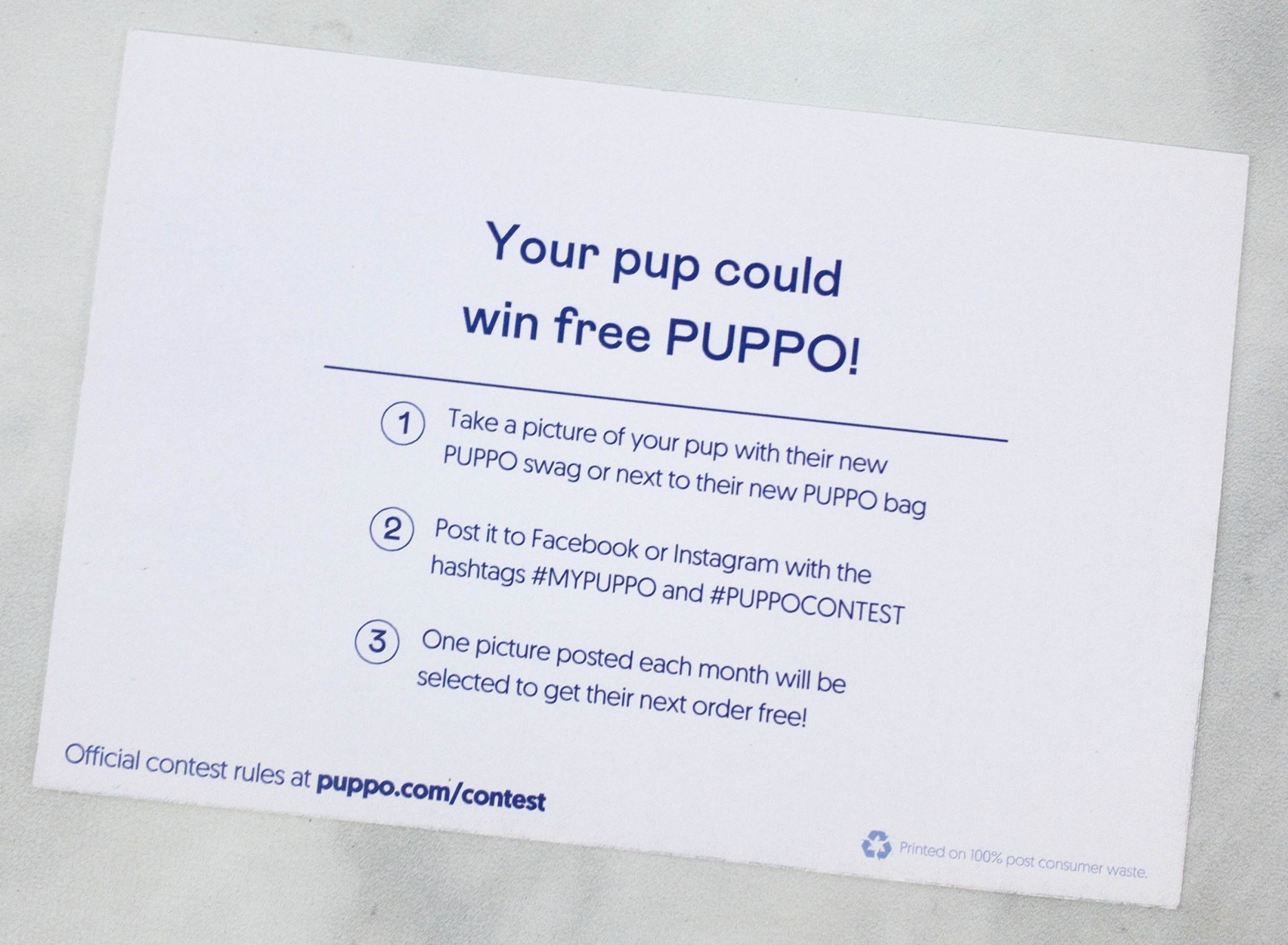 Puppo Dog Food Review + Coupon - Hello Subscription