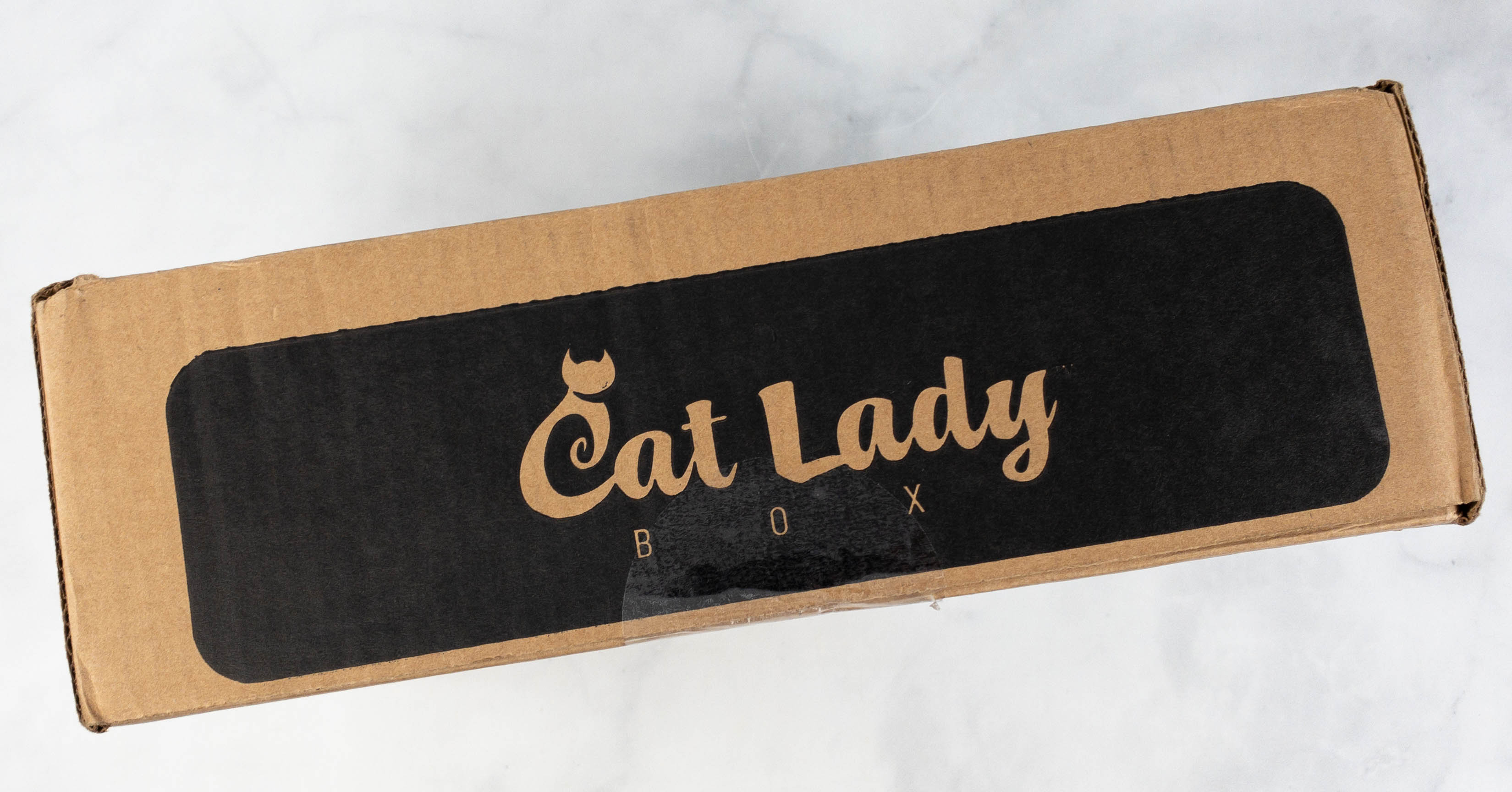 Cat Lady Box June 2021 Subscription Box Review - POOL PAWTY BOX ...