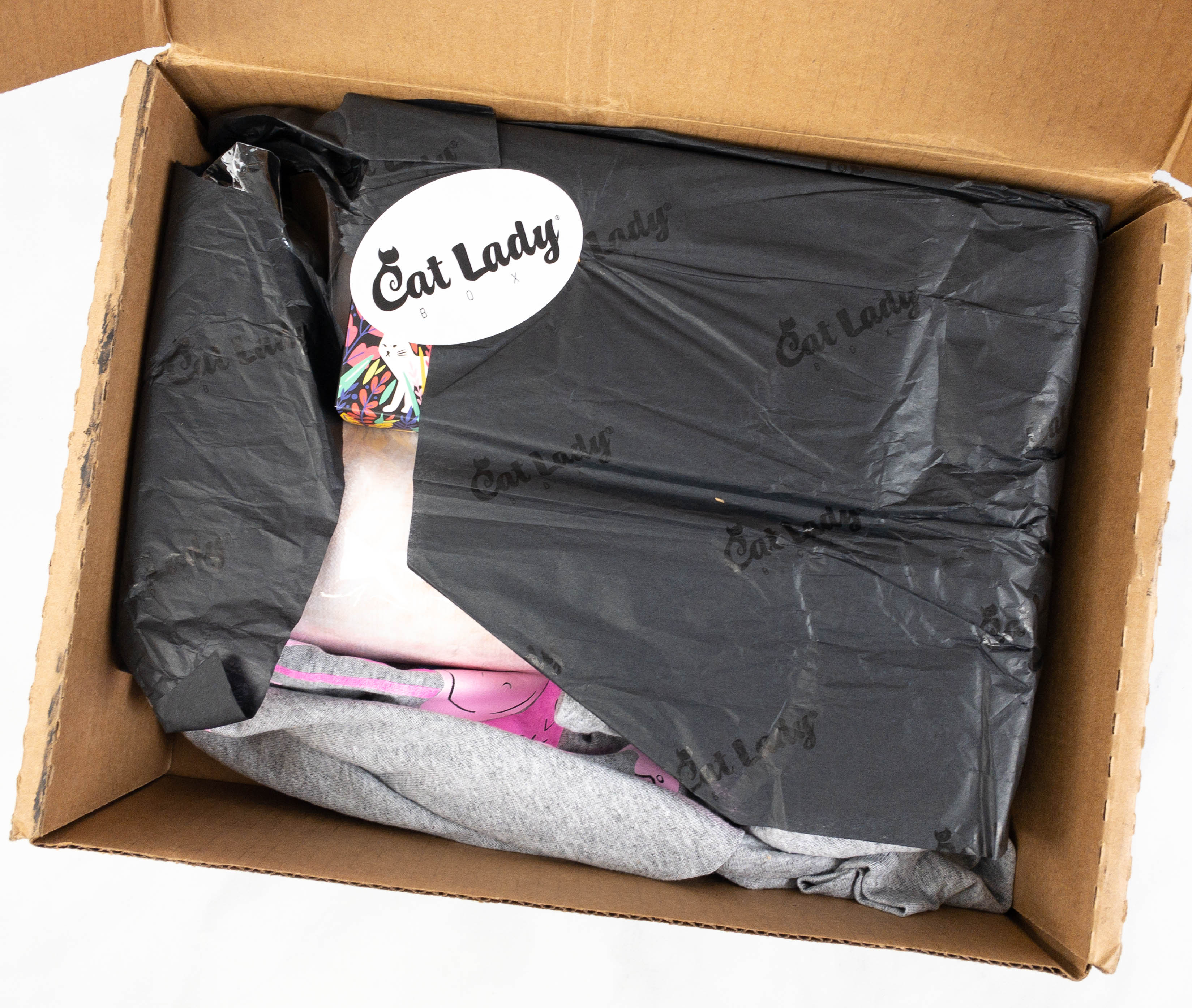 Cat Lady Box June 2021 Subscription Box Review - POOL PAWTY BOX ...