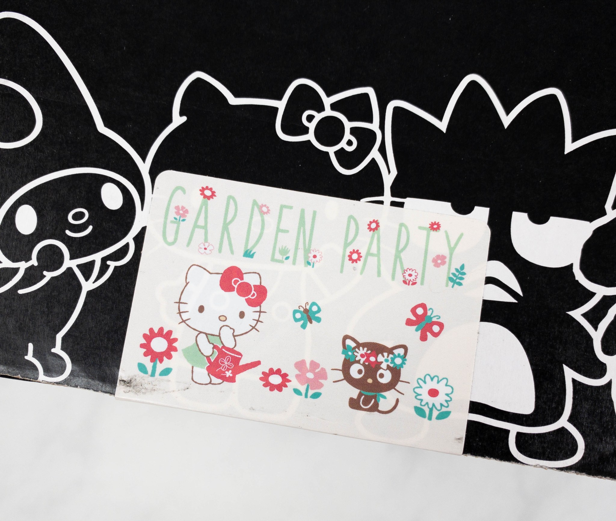 Hello Kitty and Friends Box Review + Coupon - April 2021 - Hello ...