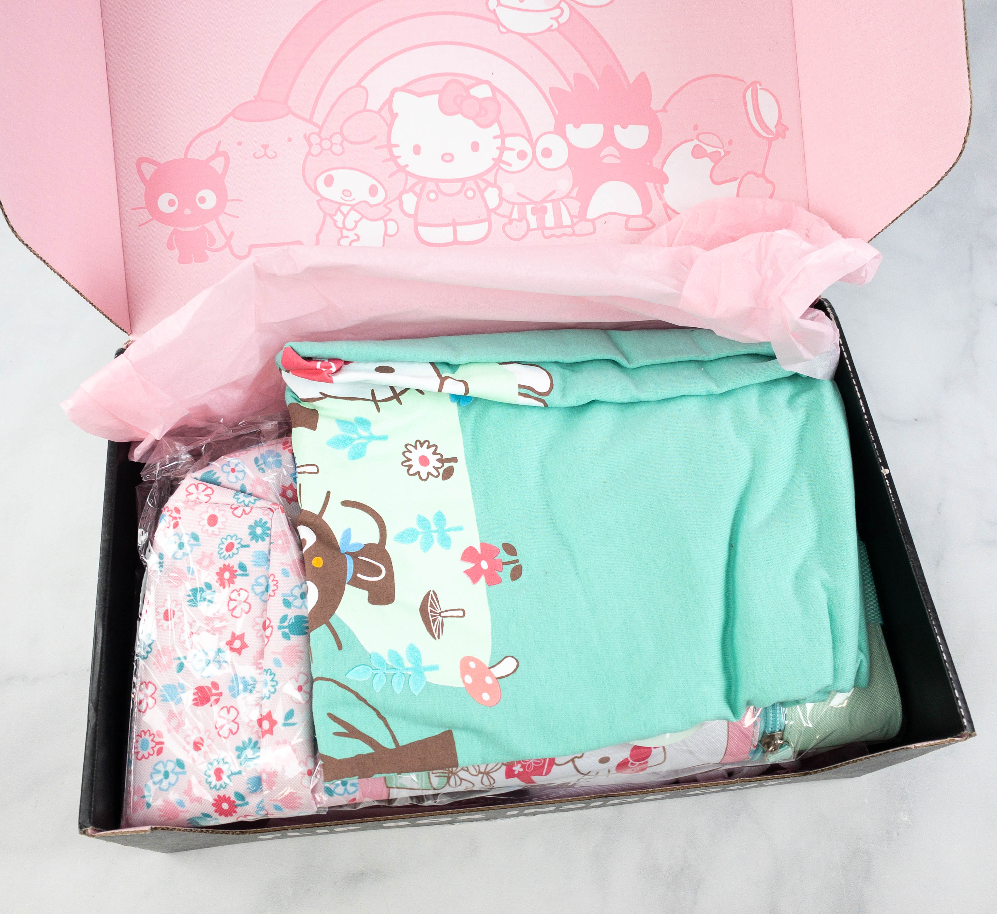 Hello Kitty and Friends Box Review + Coupon - April 2021 - Hello ...
